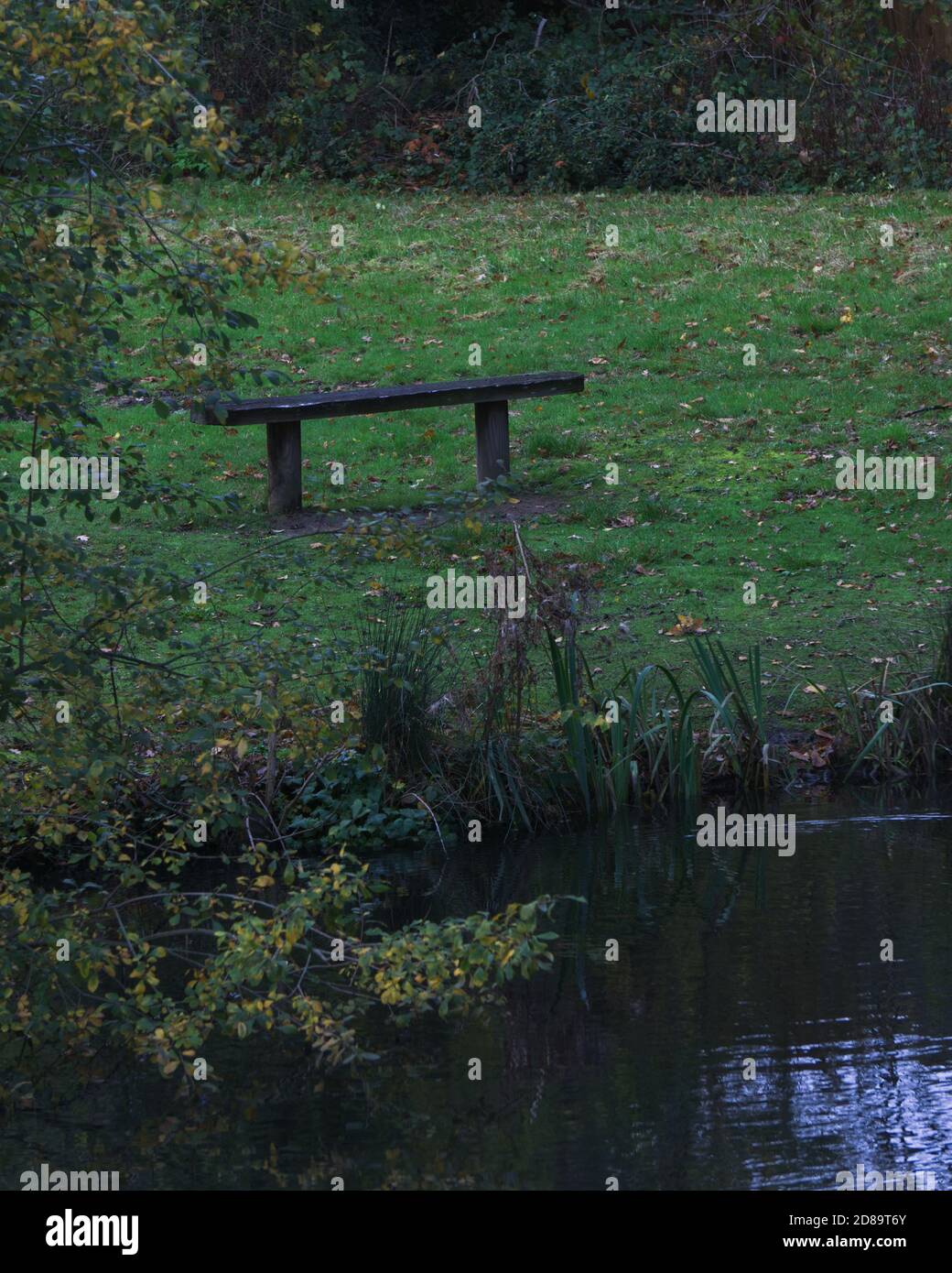 Bench by a lake Stock Photo - Alamy