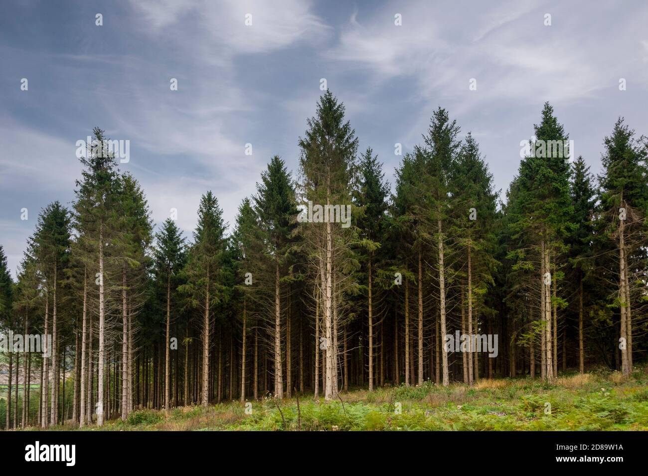 Edge no people hi-res stock photography and images - Alamy