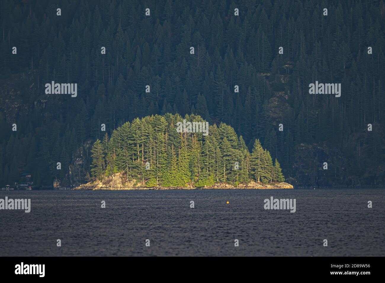 Mesmerizing view of a small island with a forest on it in the middle of ...