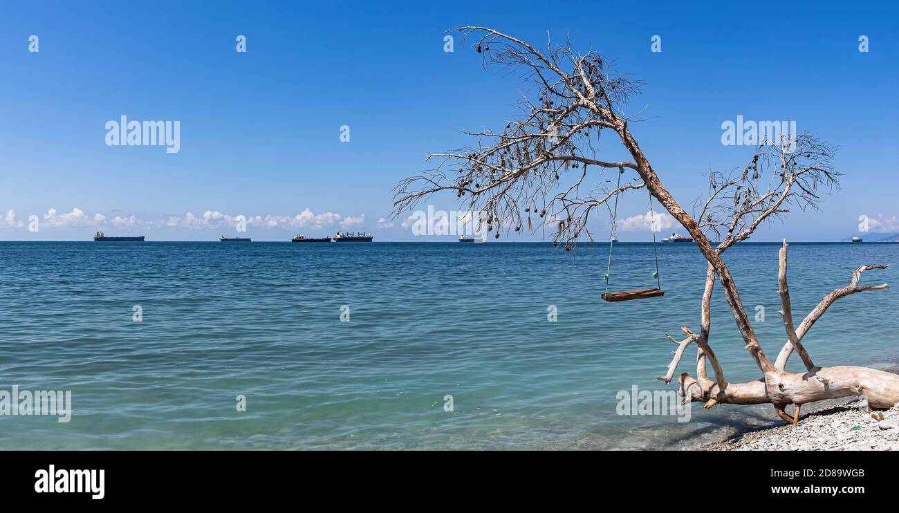 Summer panorama, sea view, swing on a fallen tree and cargo ships ...