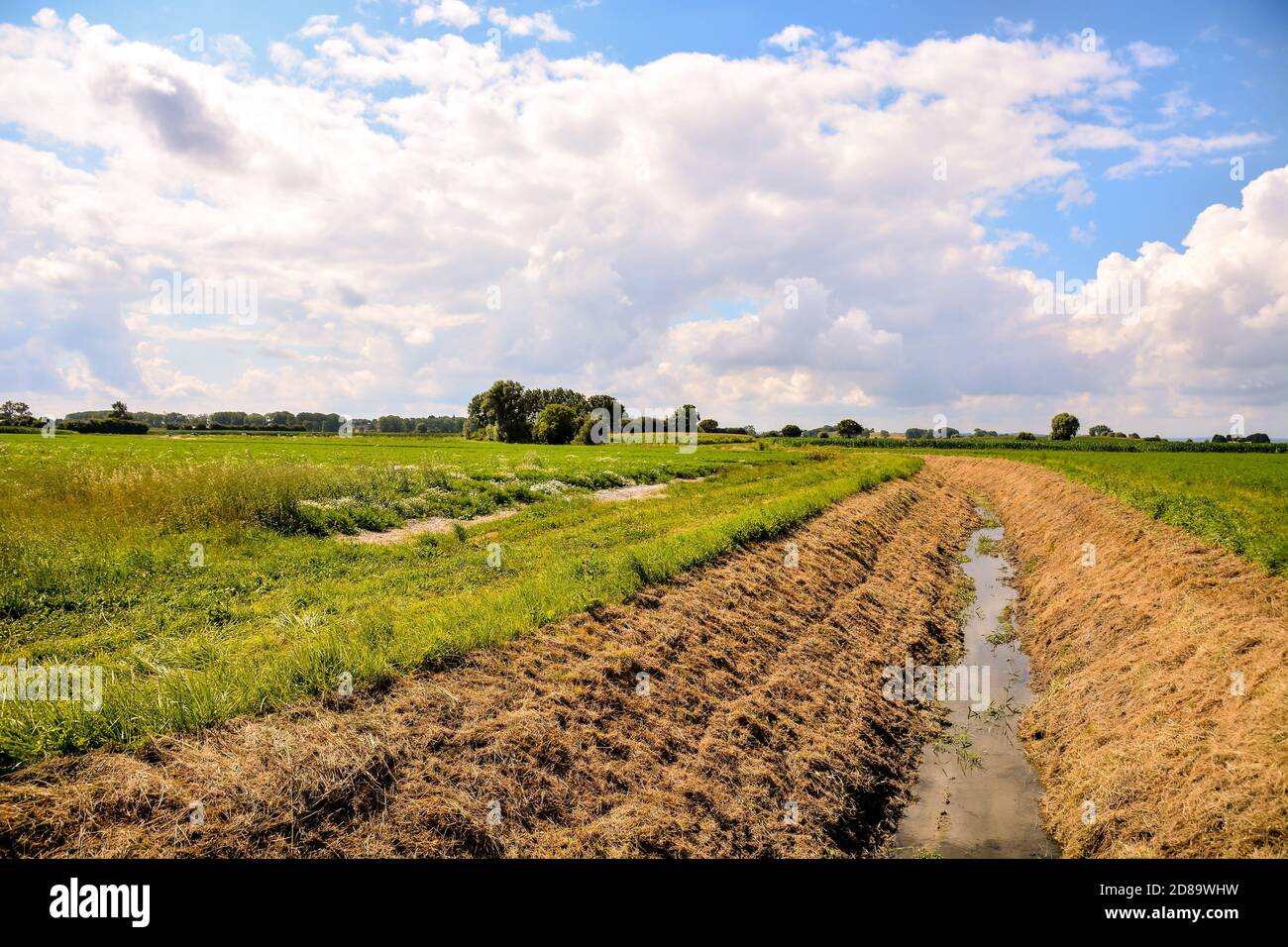 European natural countryside Stock Photo - Alamy