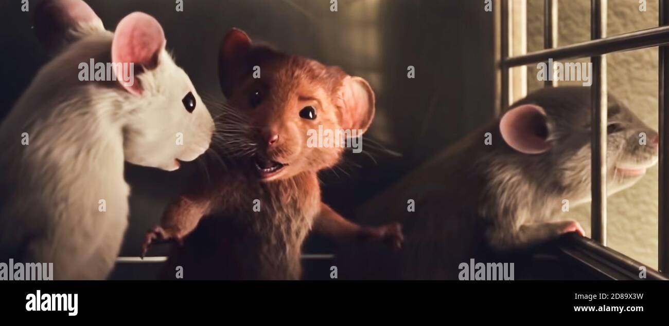 USA. A scene from the ©Warner Bros. new movie: The Witches (2020). Plot ...