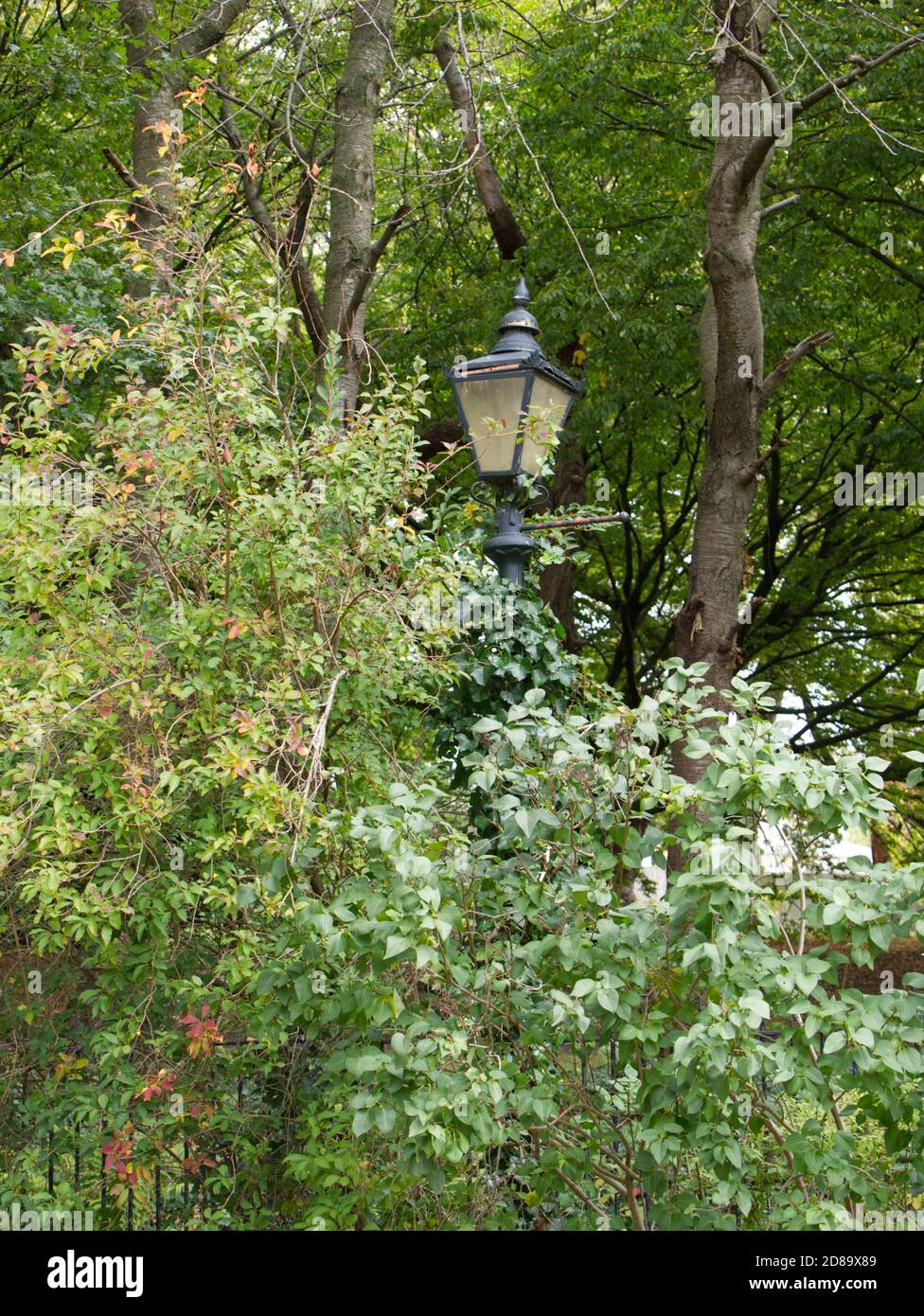 Kenwood House, Hampstead Heath, London. Stately home Parkland of ...