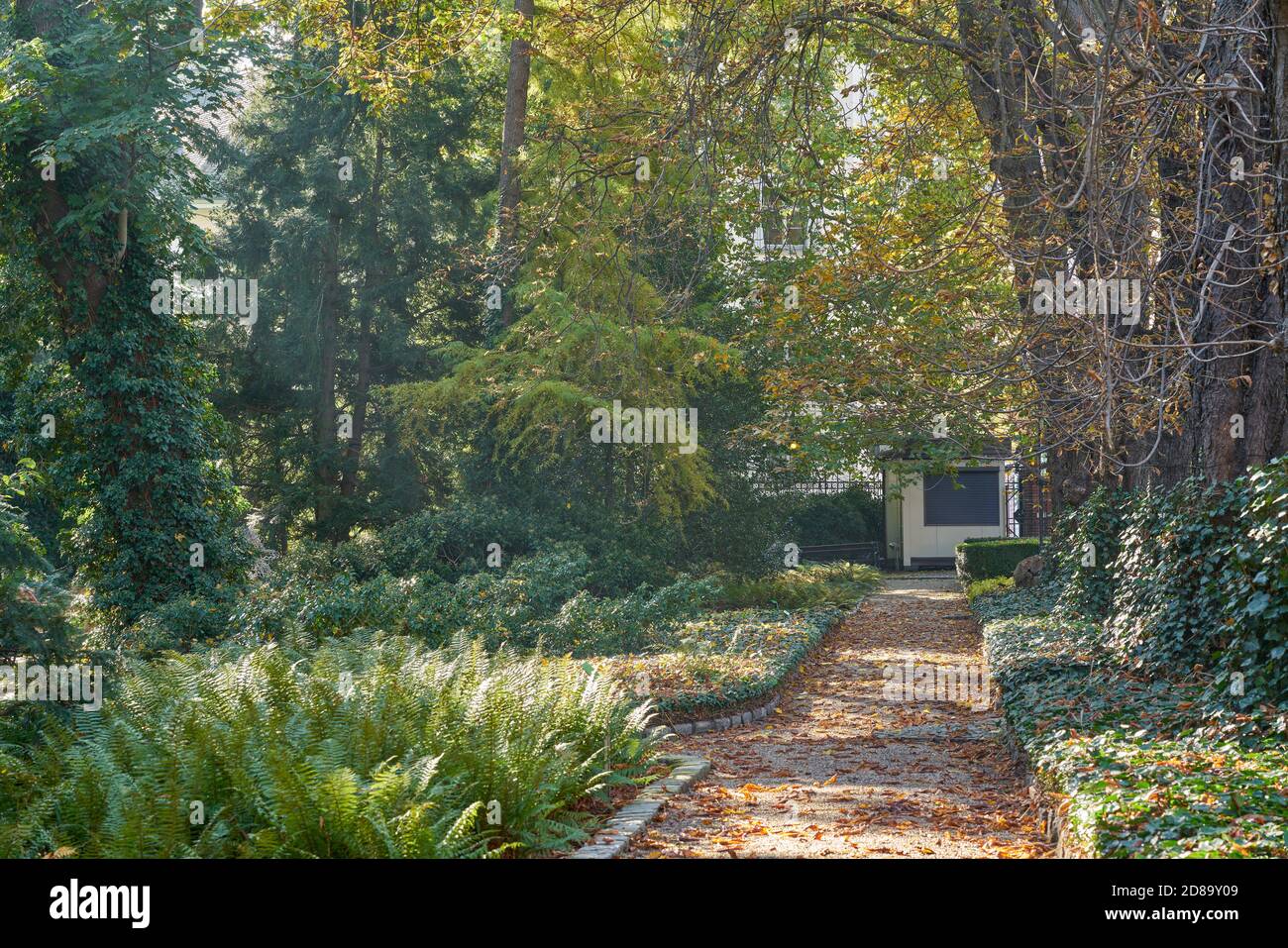 Botanical gardens in the sunny autumn morning Wroclaw Luxurious fall ...