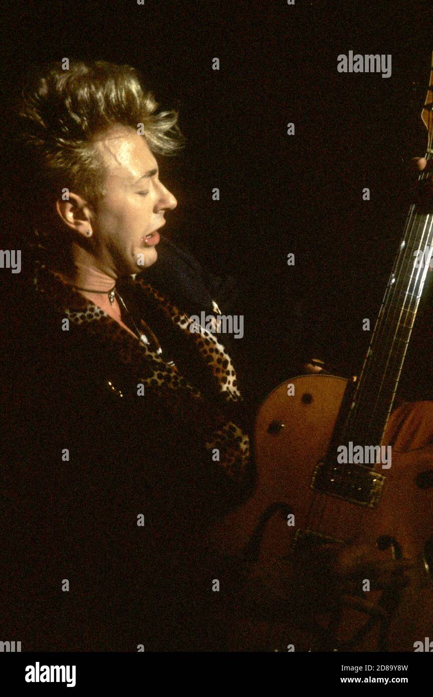 Stray cats band hi-res stock photography and images - Alamy