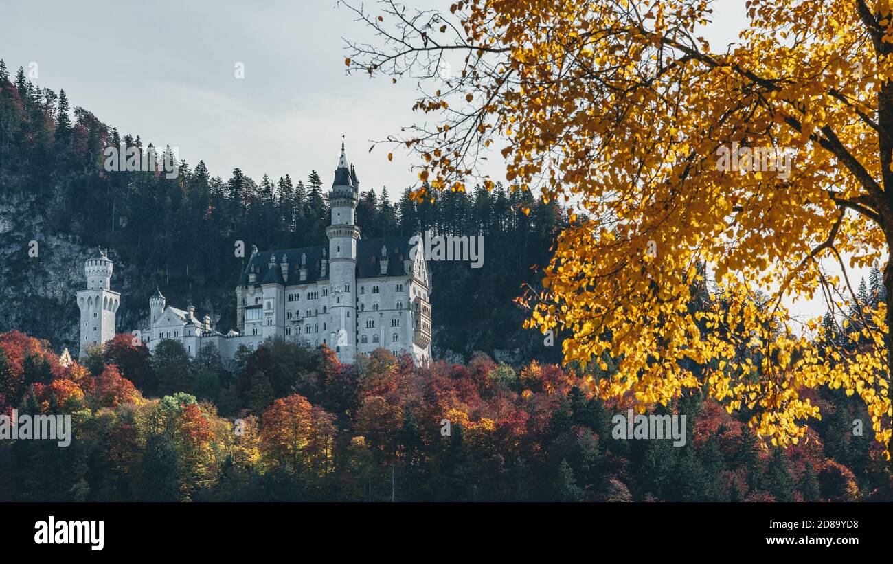Castle New Schwanstein in autumn surrounded by colorful tress Stock ...