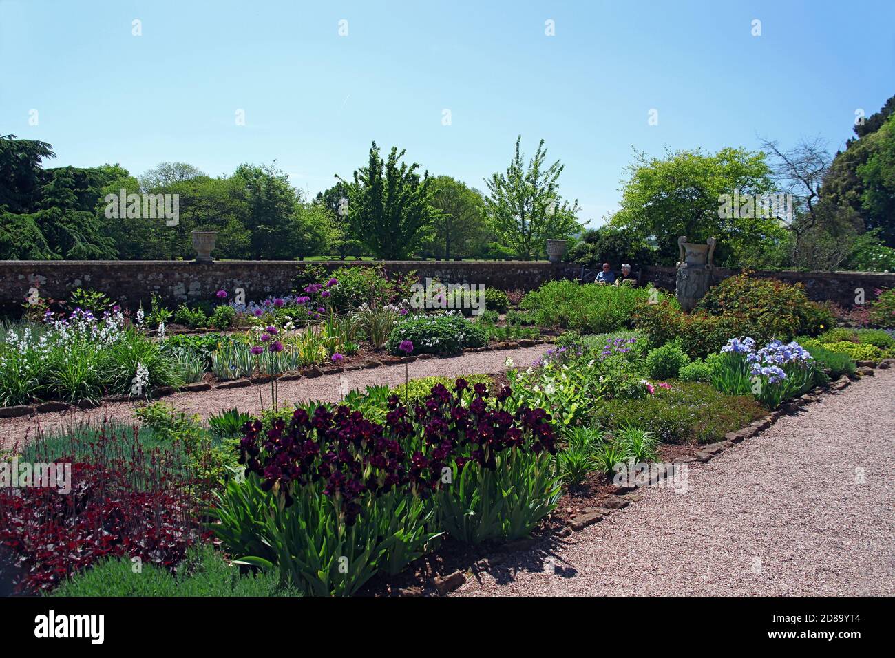 Killerton spring hi-res stock photography and images - Alamy