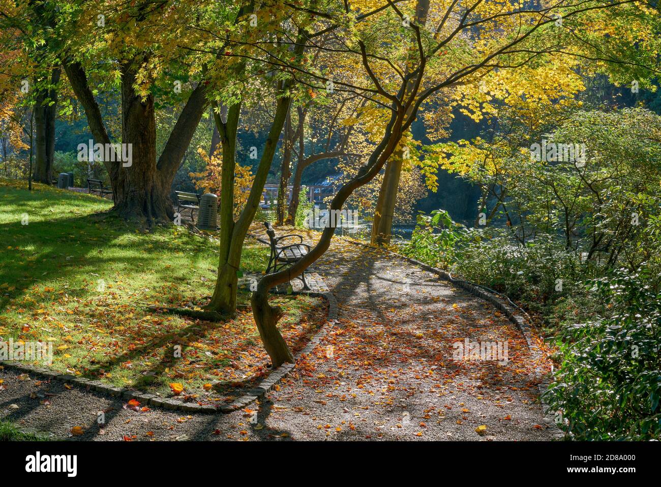 Botanical gardens in the sunny autumn morning Wroclaw Luxurious fall ...