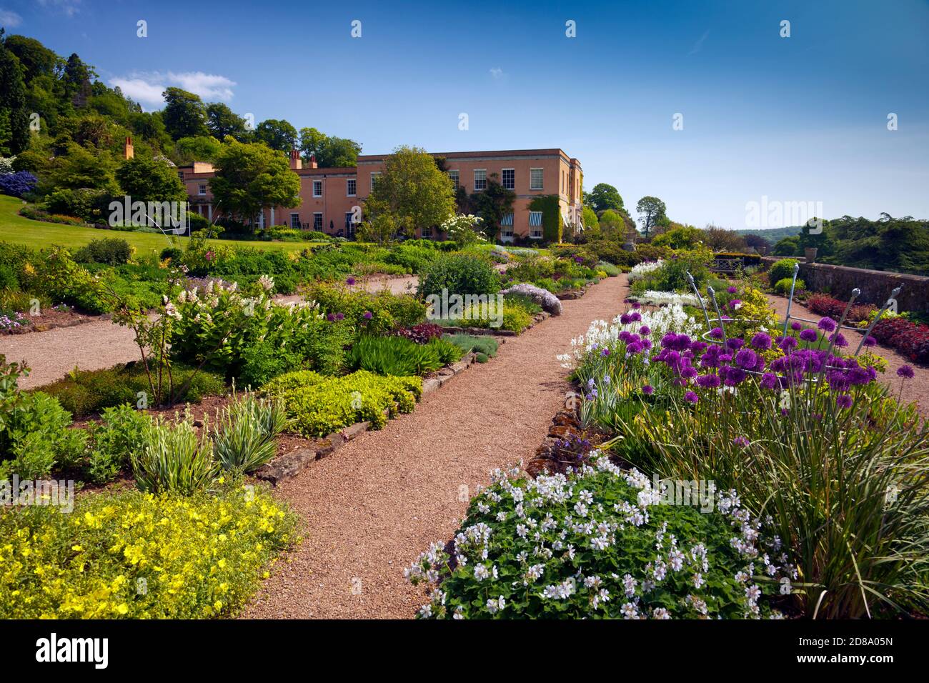 The colourful herbaceous borders at Killerton House, nr Exeter, Devon ...