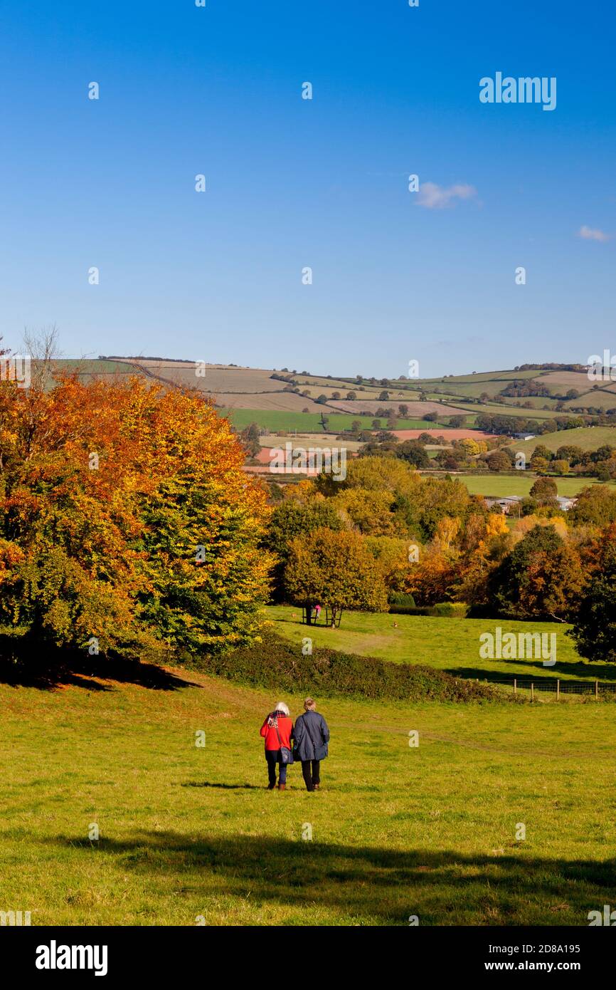 Autumn colour in the Culm Valley from the grounds of Killerton House ...