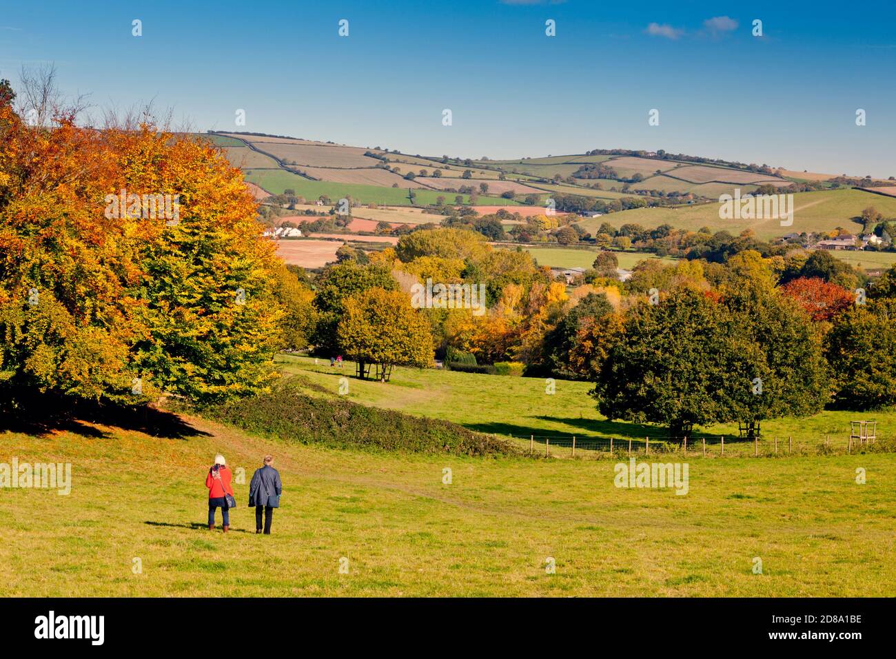 Autumn colour in the River Culm valley nr Exeter, Devon. England, UK ...