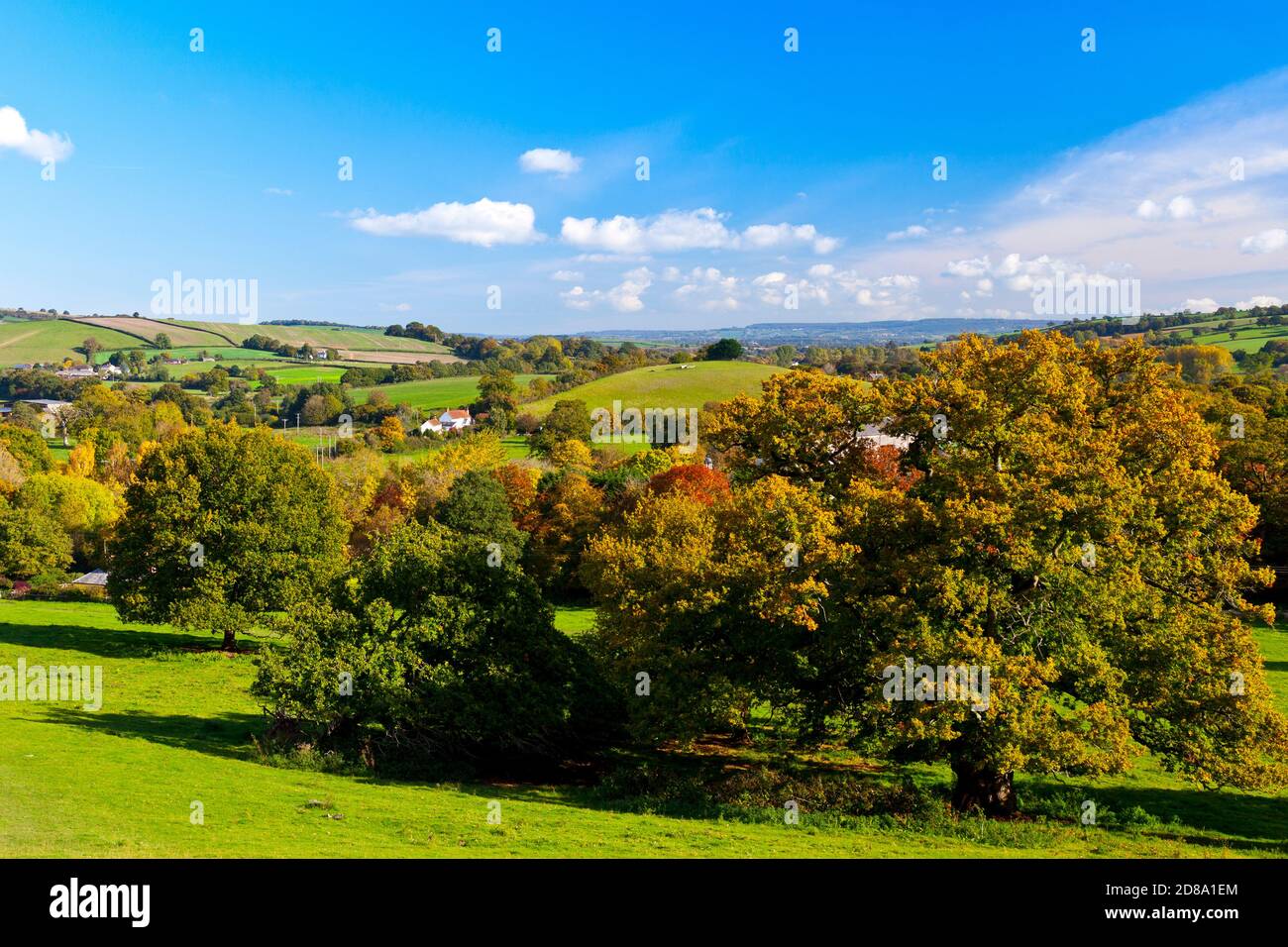 Autumn colour in the Culm Valley from the grounds of Killerton House ...