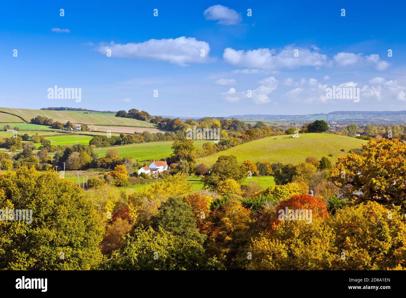 Autumn colour in the Culm Valley from the grounds of Killerton House ...