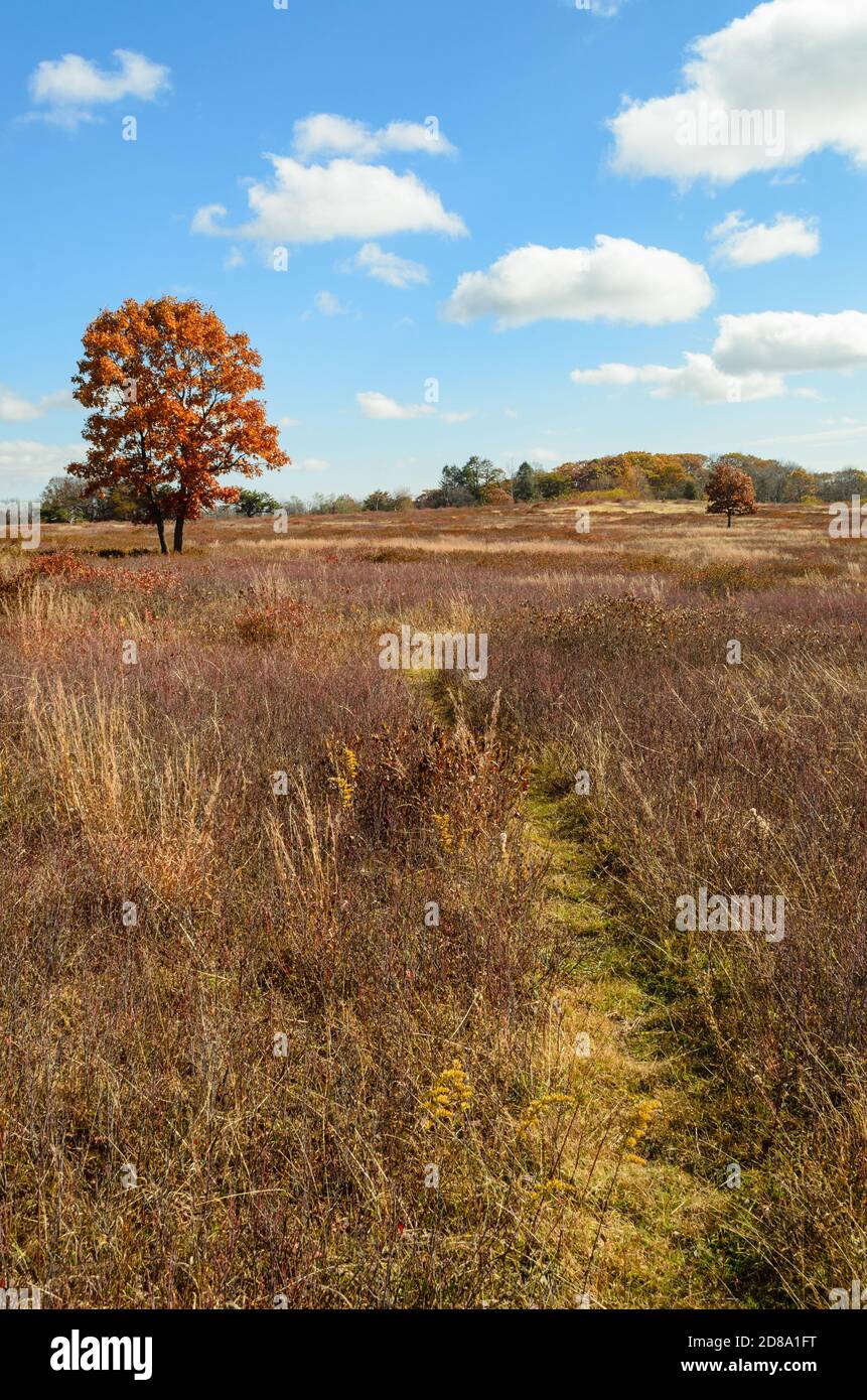 Shenandoah National Park Stock Photo - Alamy