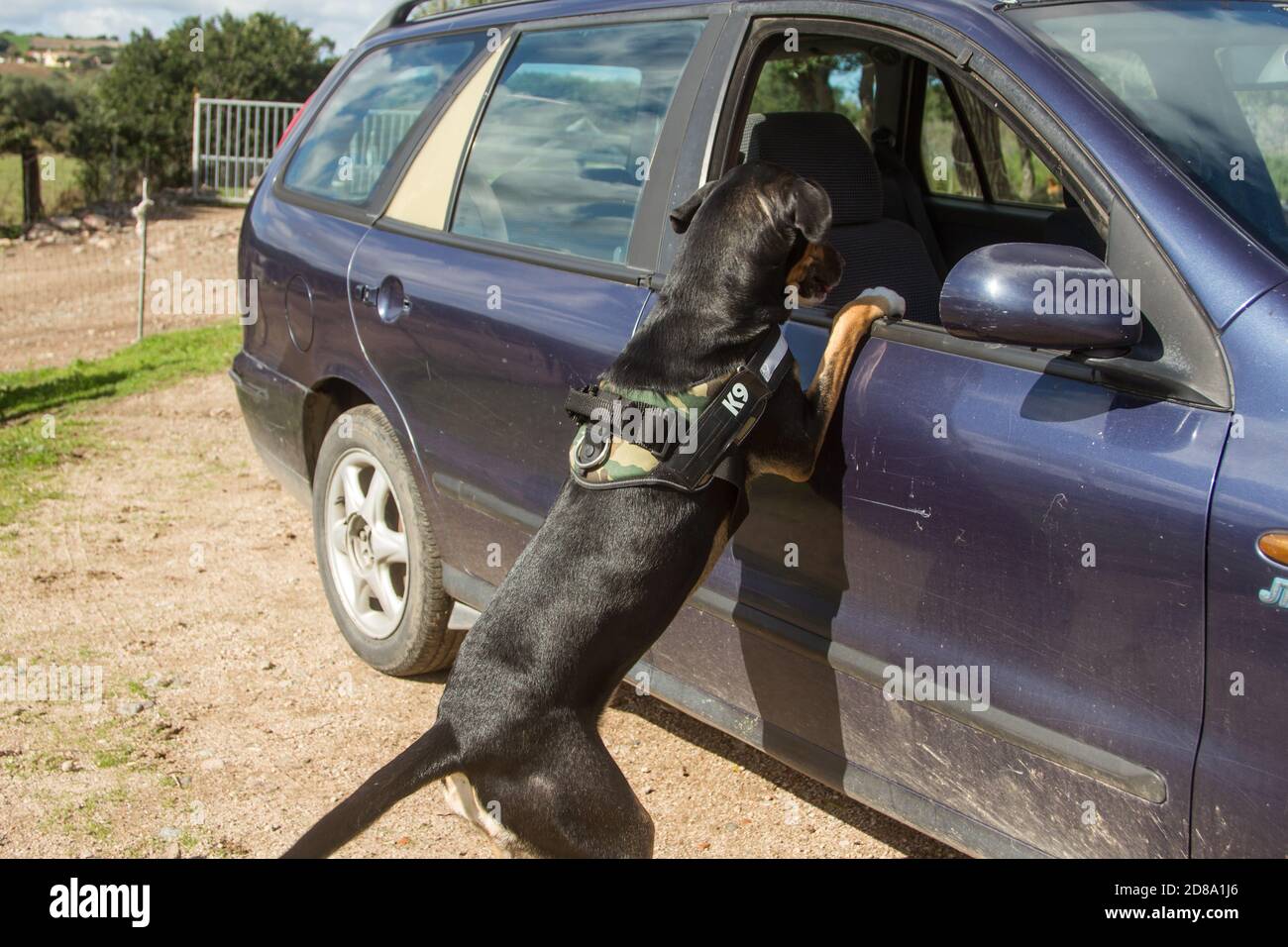 K9 police car hi-res stock photography and images - Alamy