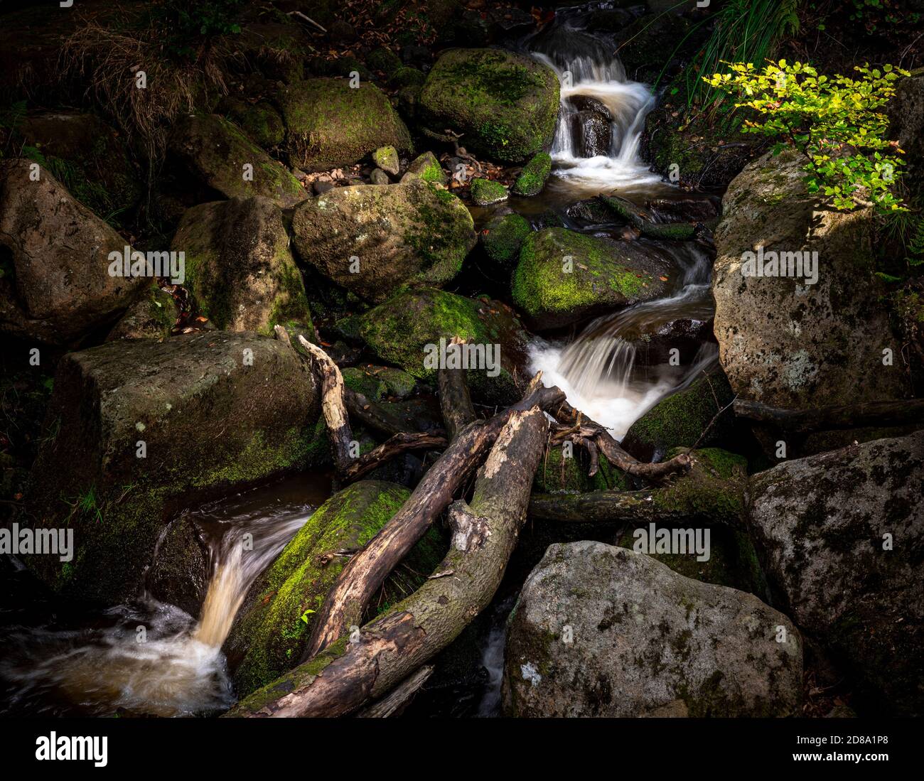 Waterfalls Padley Gorge Peak District Derbyshire England,UK Stock Photo ...