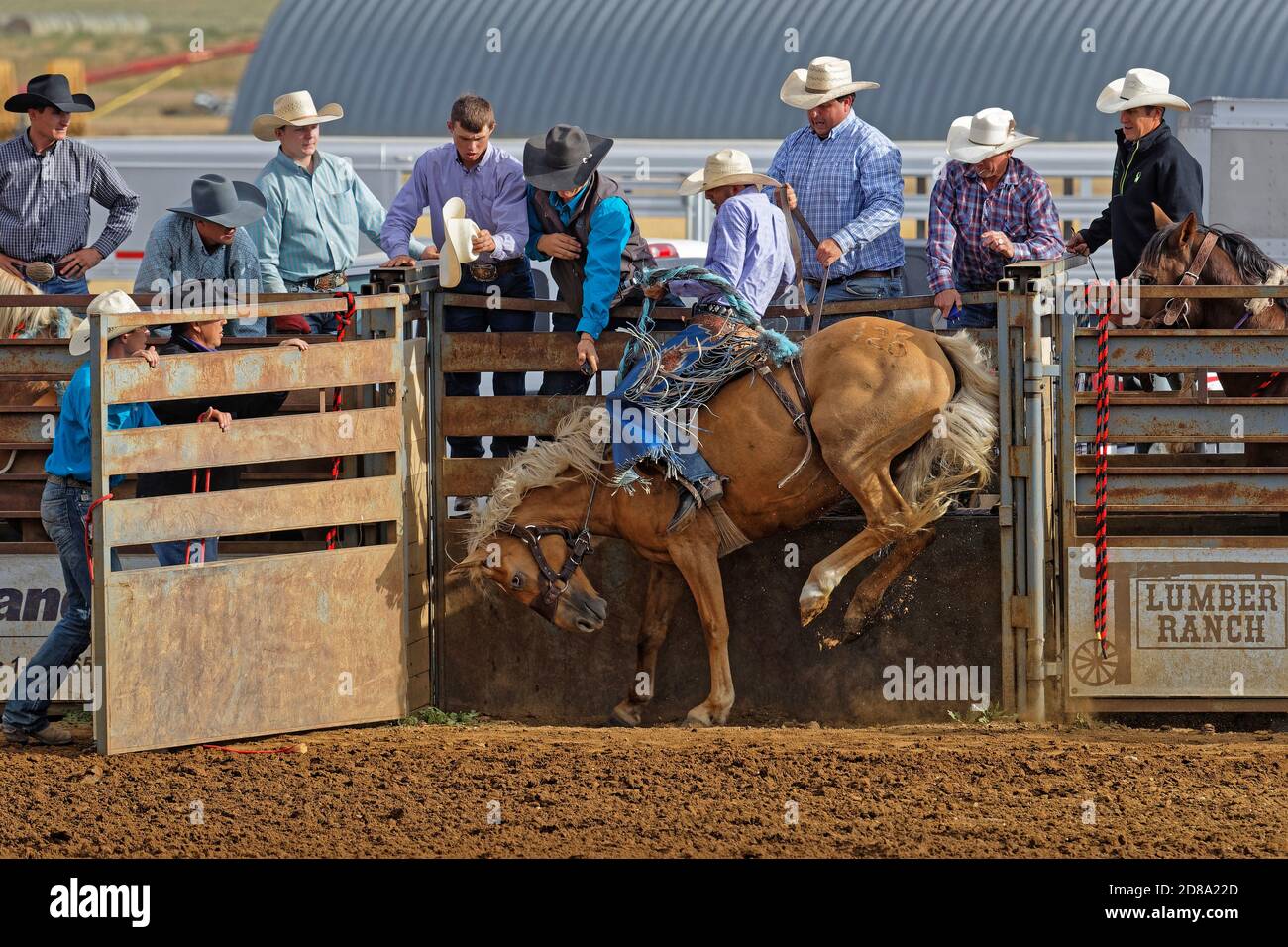 Saddle bronc riding hi-res stock photography and images - Alamy