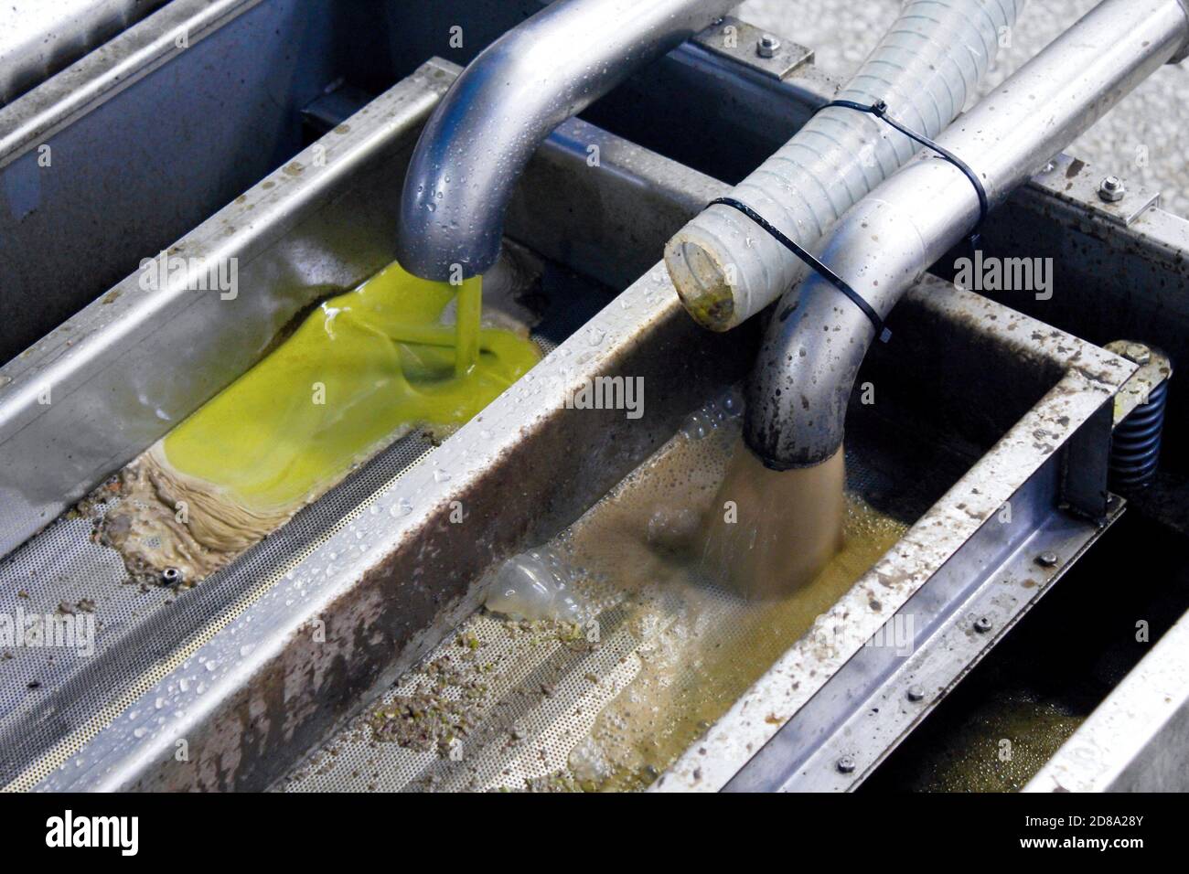Extra virgin olive oil extraction process in olive oil mill located in ...