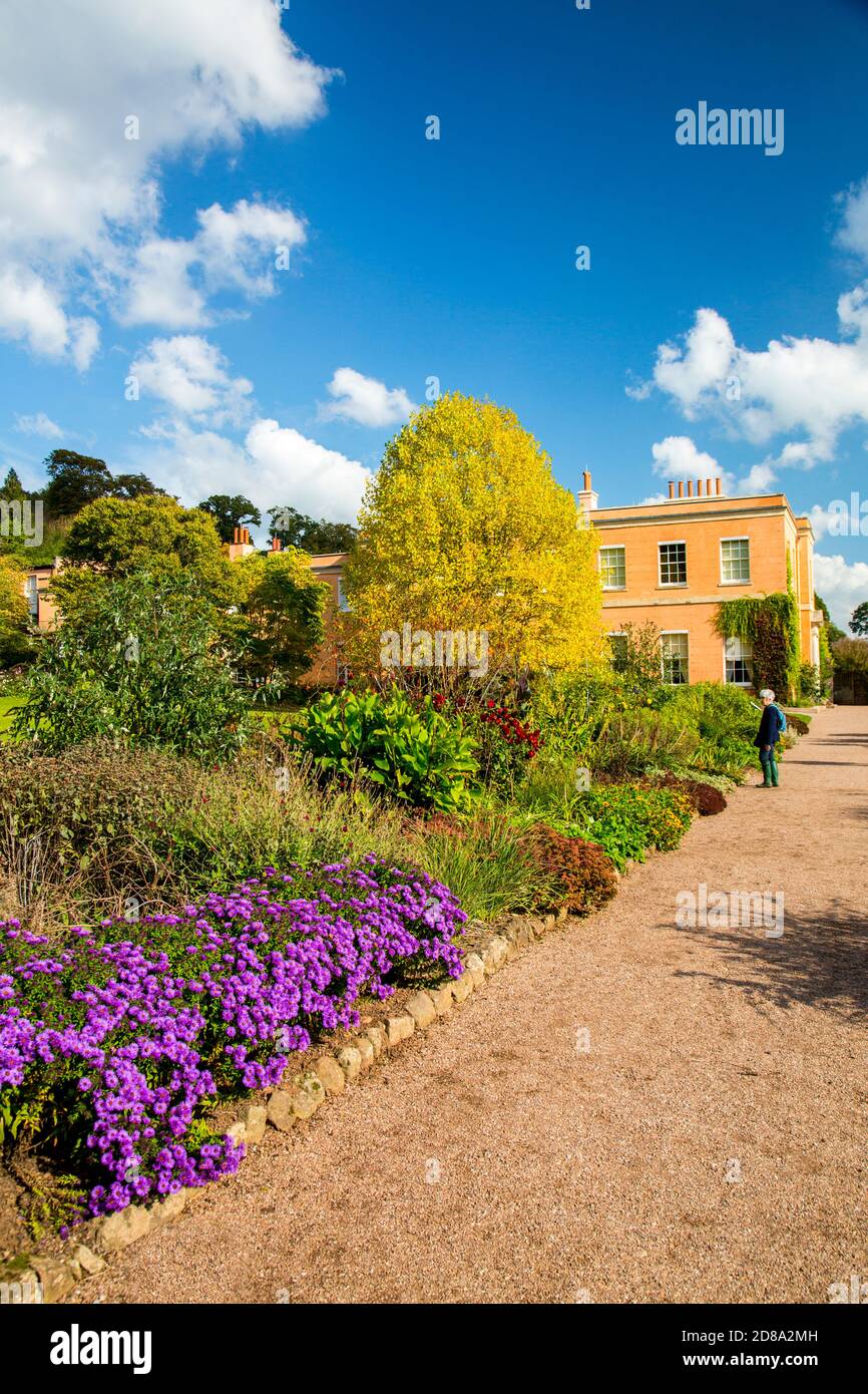 Autumn colour in the herbaceous borders at Killerton House, nr Exeter ...