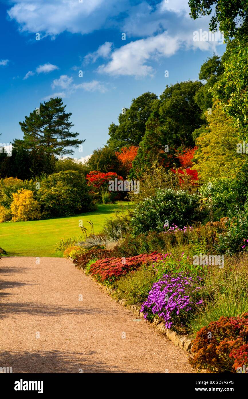 Autumn colour in the herbaceous borders at Killerton House, nr Exeter ...