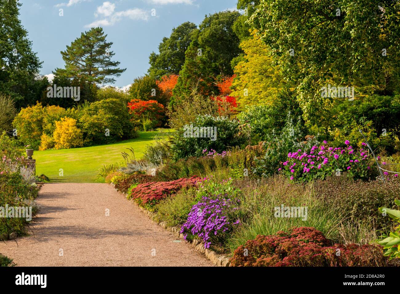 Autumn colour in the herbaceous borders at Killerton House, nr Exeter ...