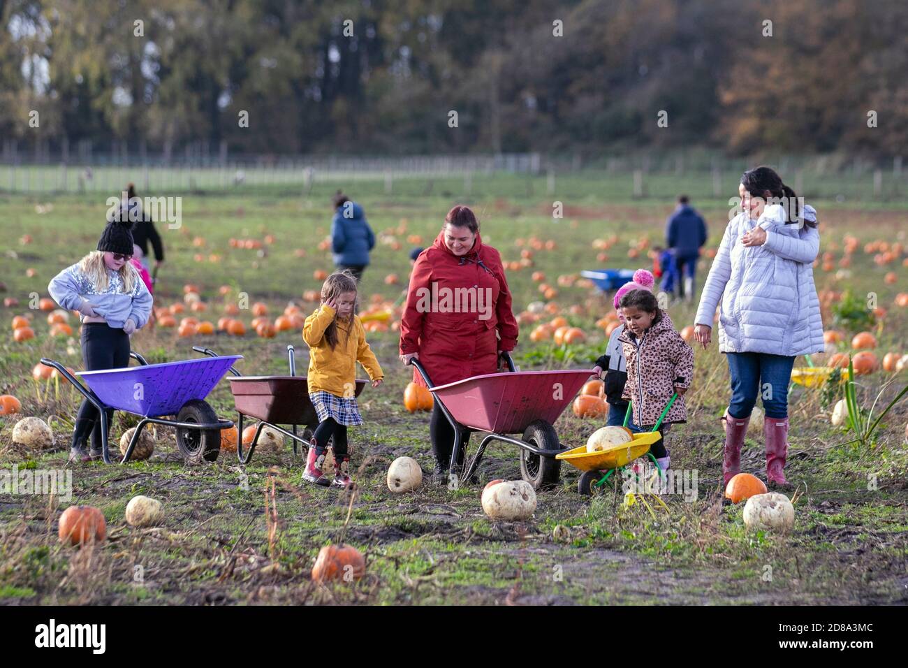 Soggy fields hi-res stock photography and images - Alamy