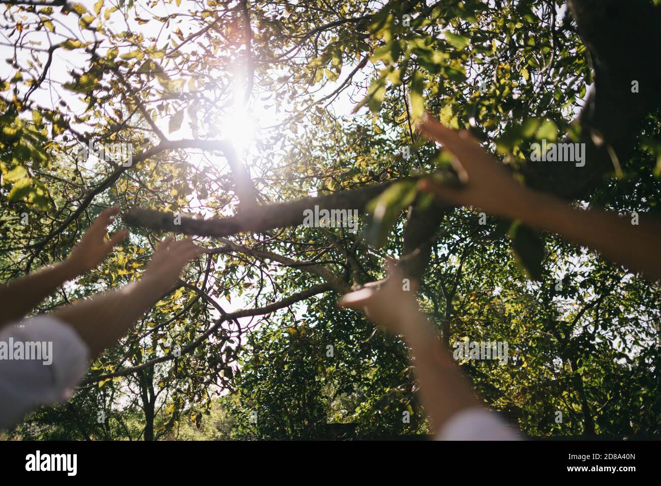Reach hands family hi-res stock photography and images - Alamy