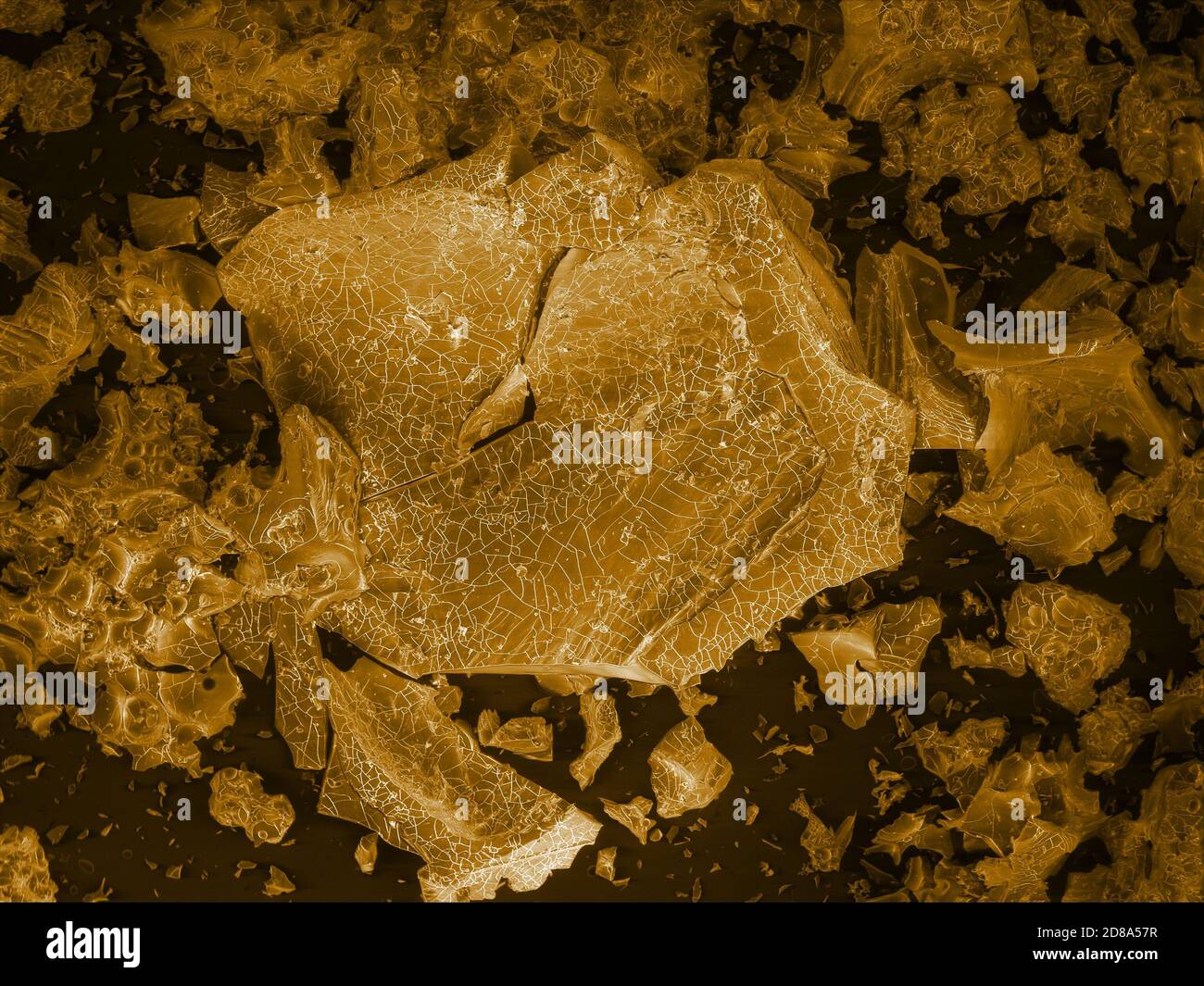 Medium roasted coffee bean imaged by scanning electrom microscope Stock ...
