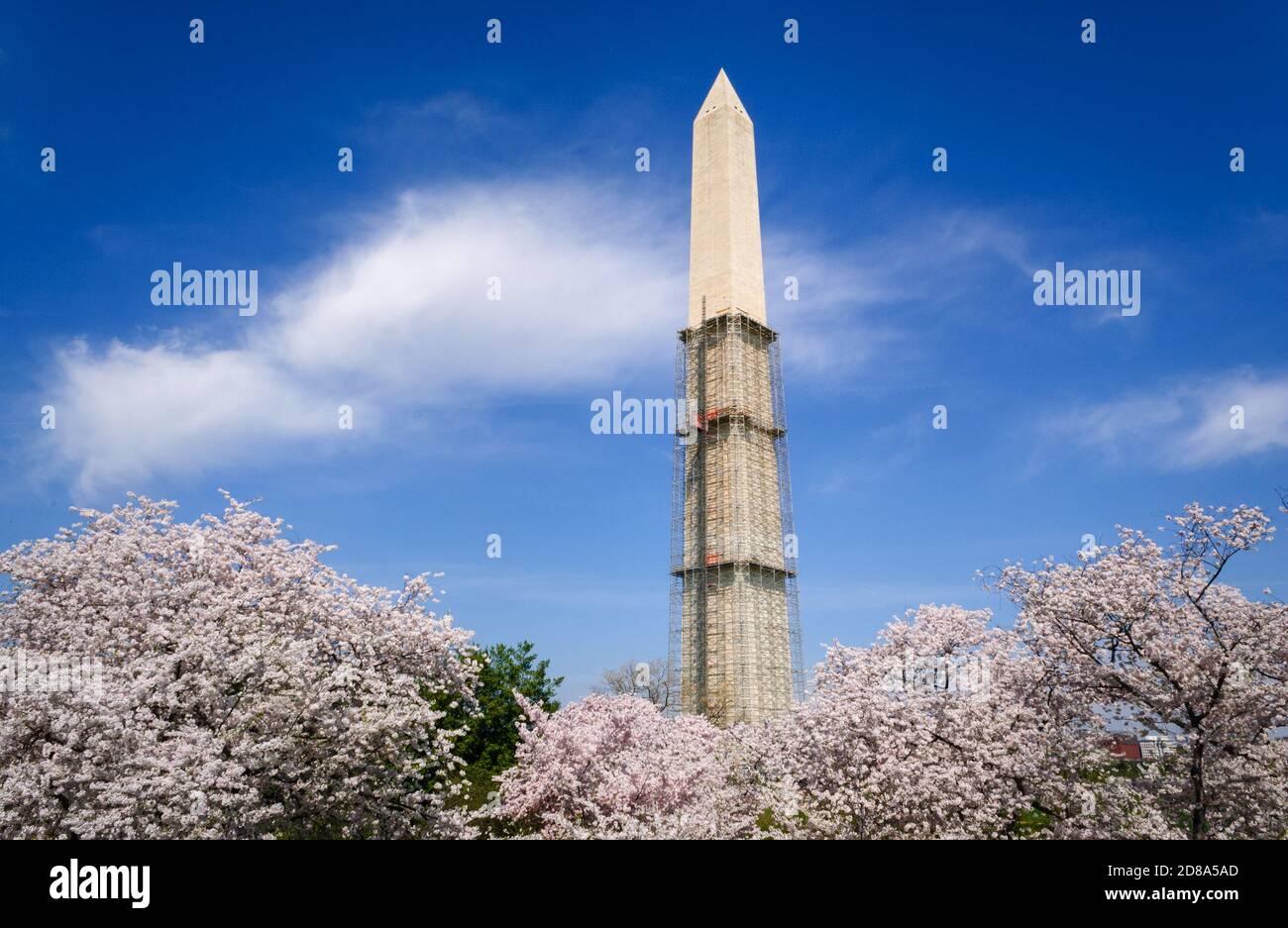 George washington cherry tree hi-res stock photography and images - Alamy