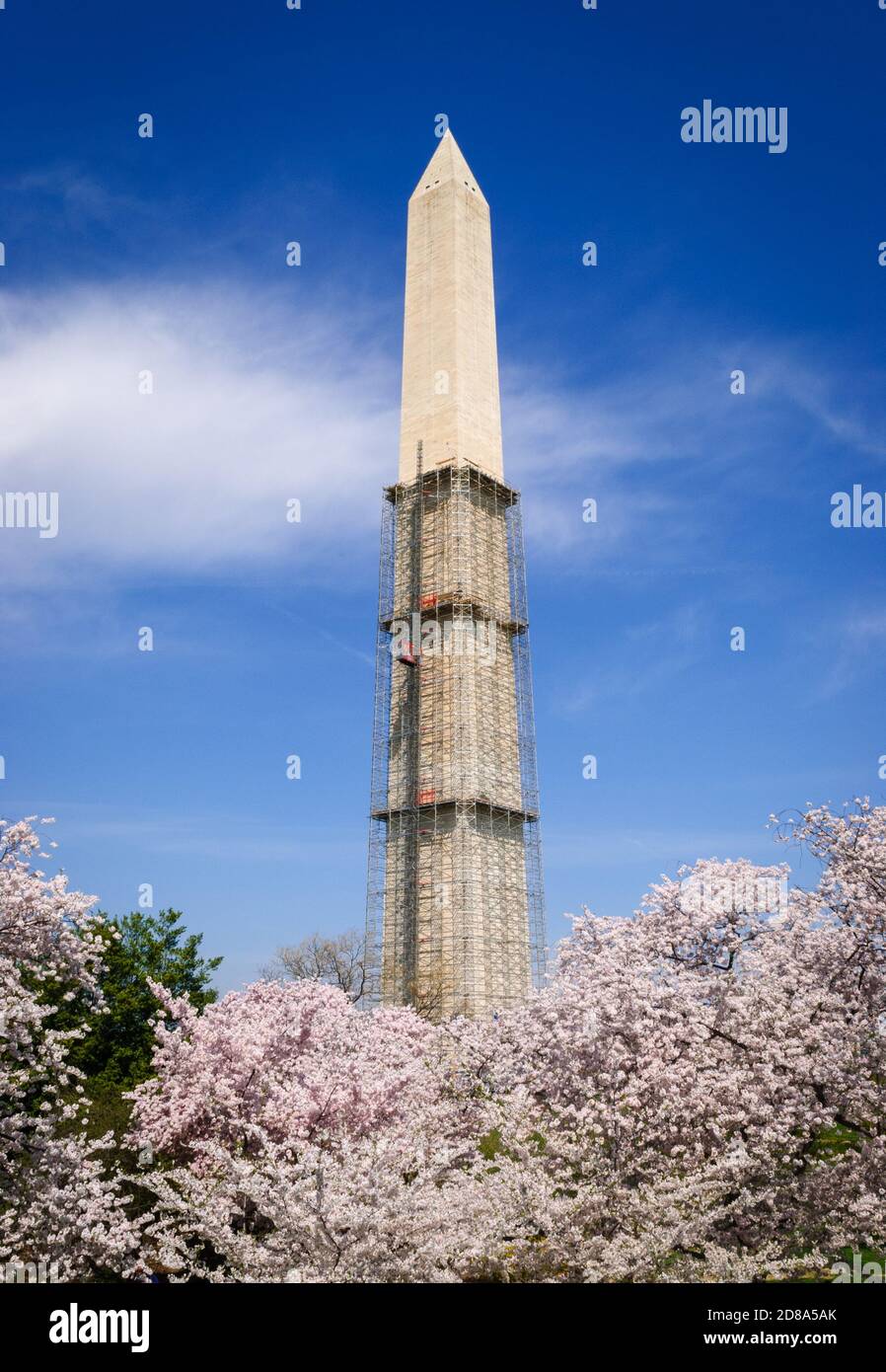 George washington cherry tree hi-res stock photography and images - Alamy