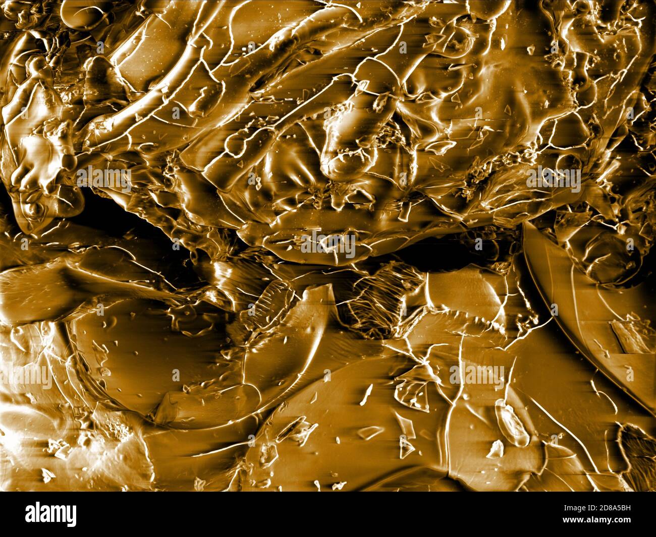 Medium roasted coffee bean imaged by scanning electrom microscope Stock ...