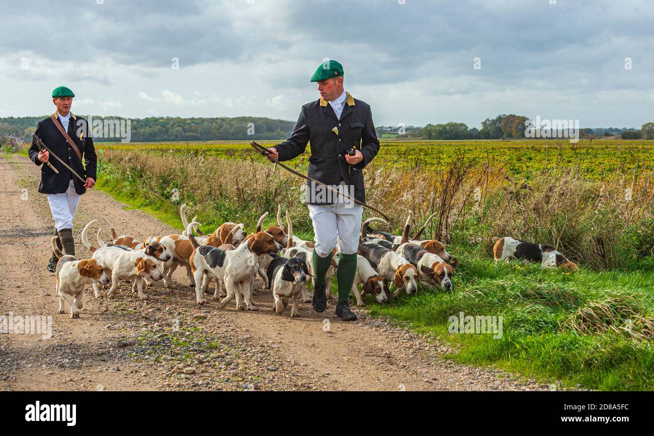 Blankney, Lincoln, Lincolnshire, UK. 28th October 2020. The East Lincs ...