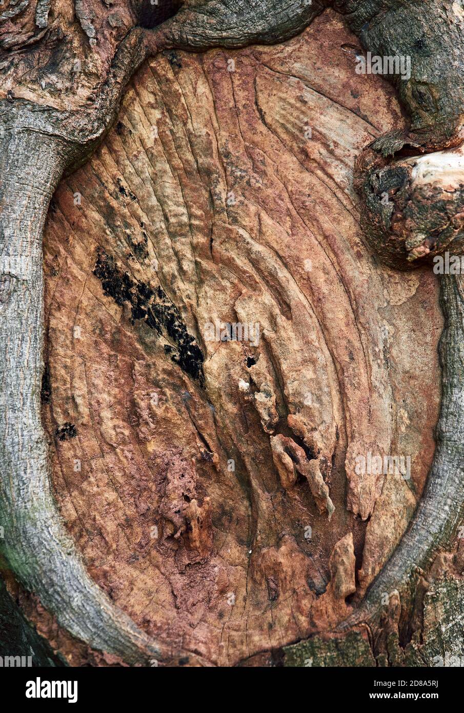 Decaying material hi-res stock photography and images - Alamy