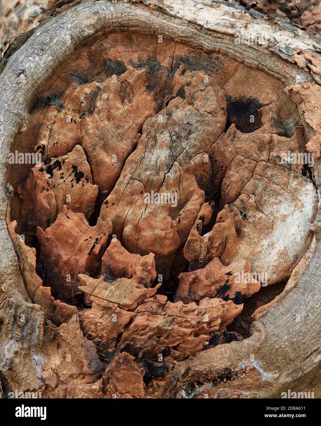 Decaying material hi-res stock photography and images - Alamy