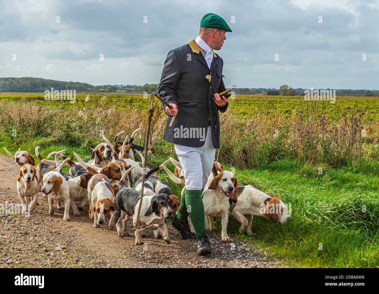 Matt limb obe hi-res stock photography and images - Alamy