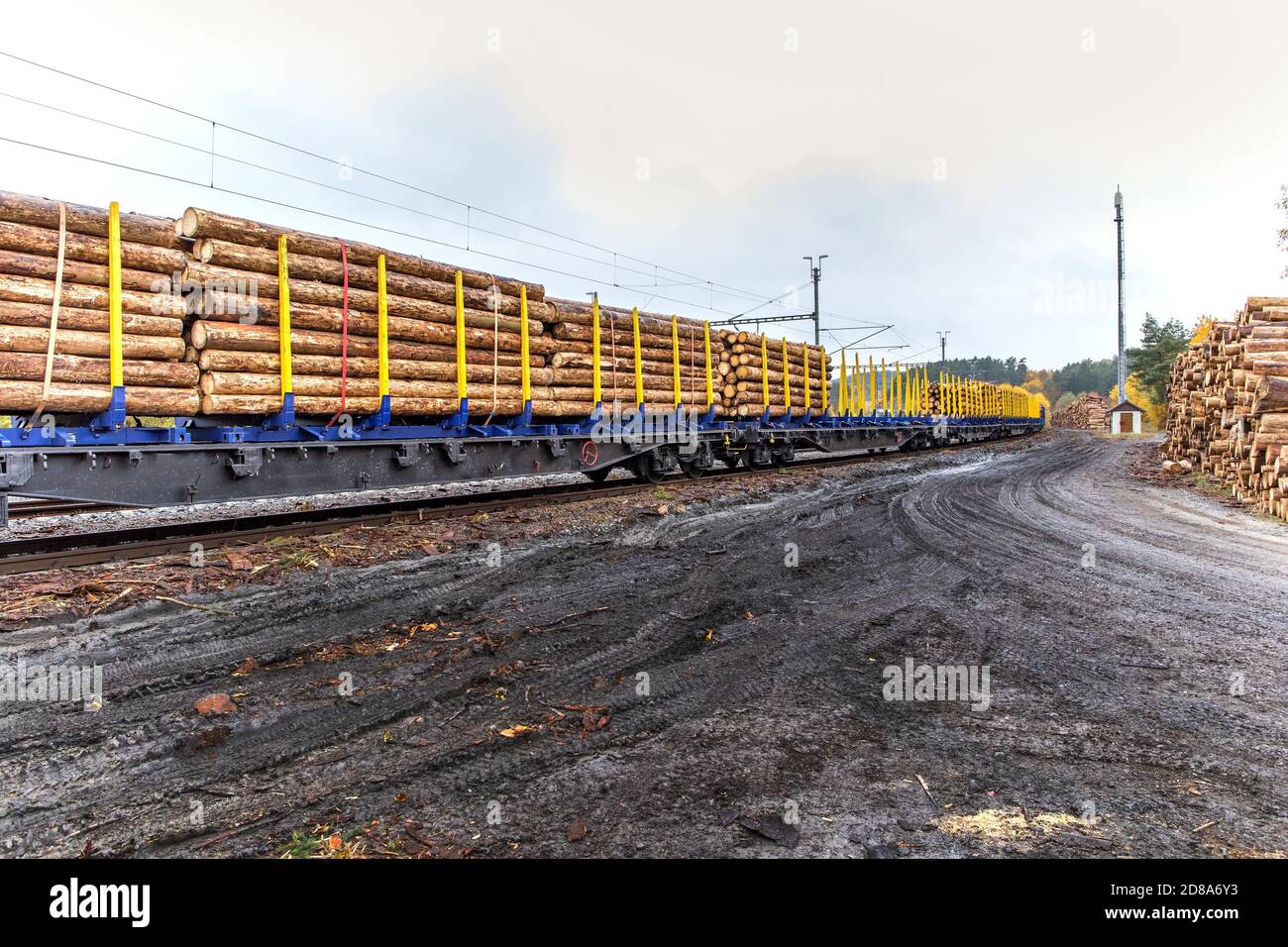 Loading lumber on train hi-res stock photography and images - Alamy