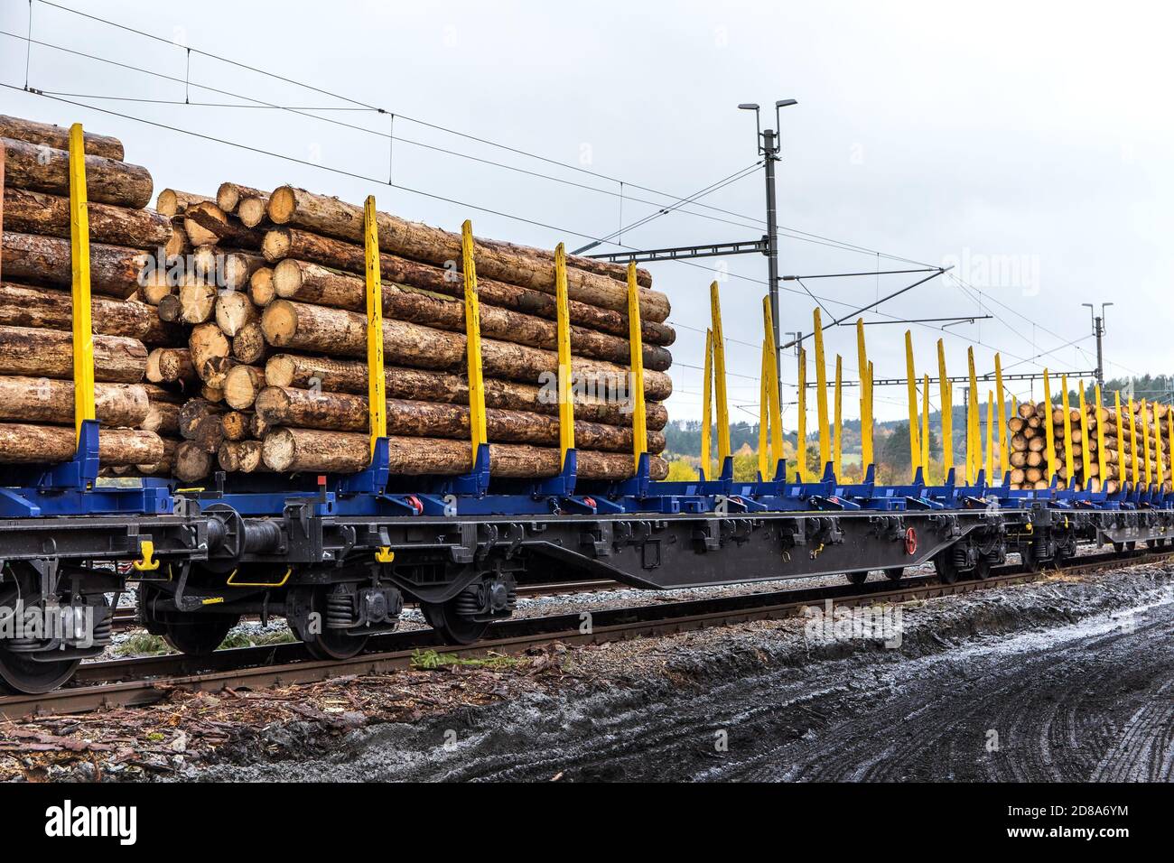 Timber on the freight train. Transportation and sustainable development ...