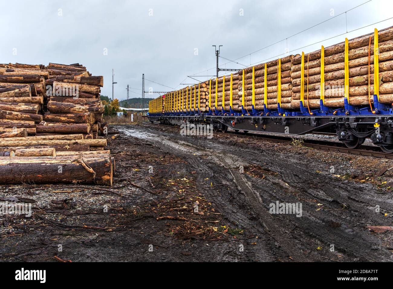 Timber on the freight train. Transportation and sustainable development ...