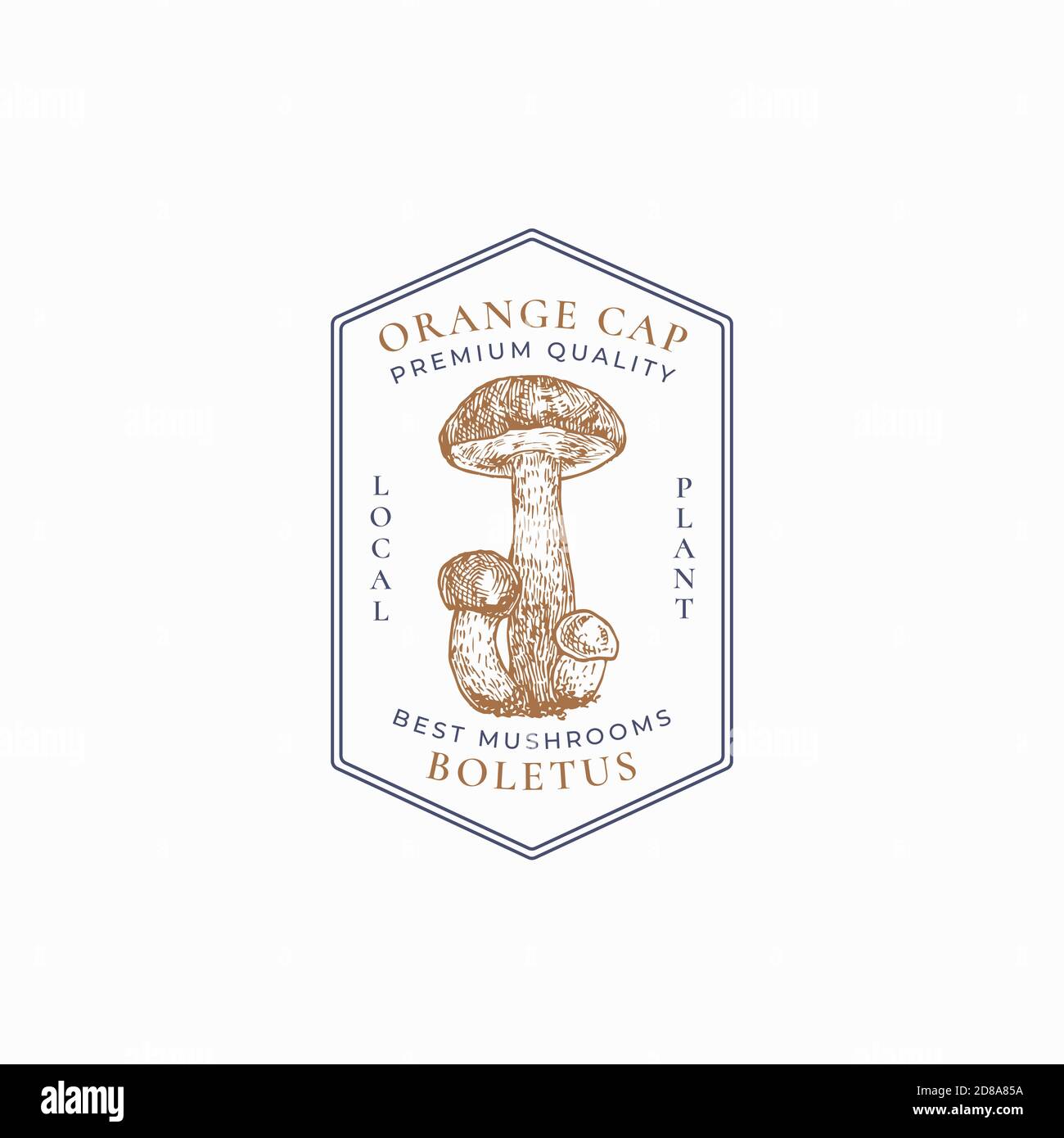 Mushrooms Abstract Frame Sign, Symbol or Logo Template. Hand Drawn ...