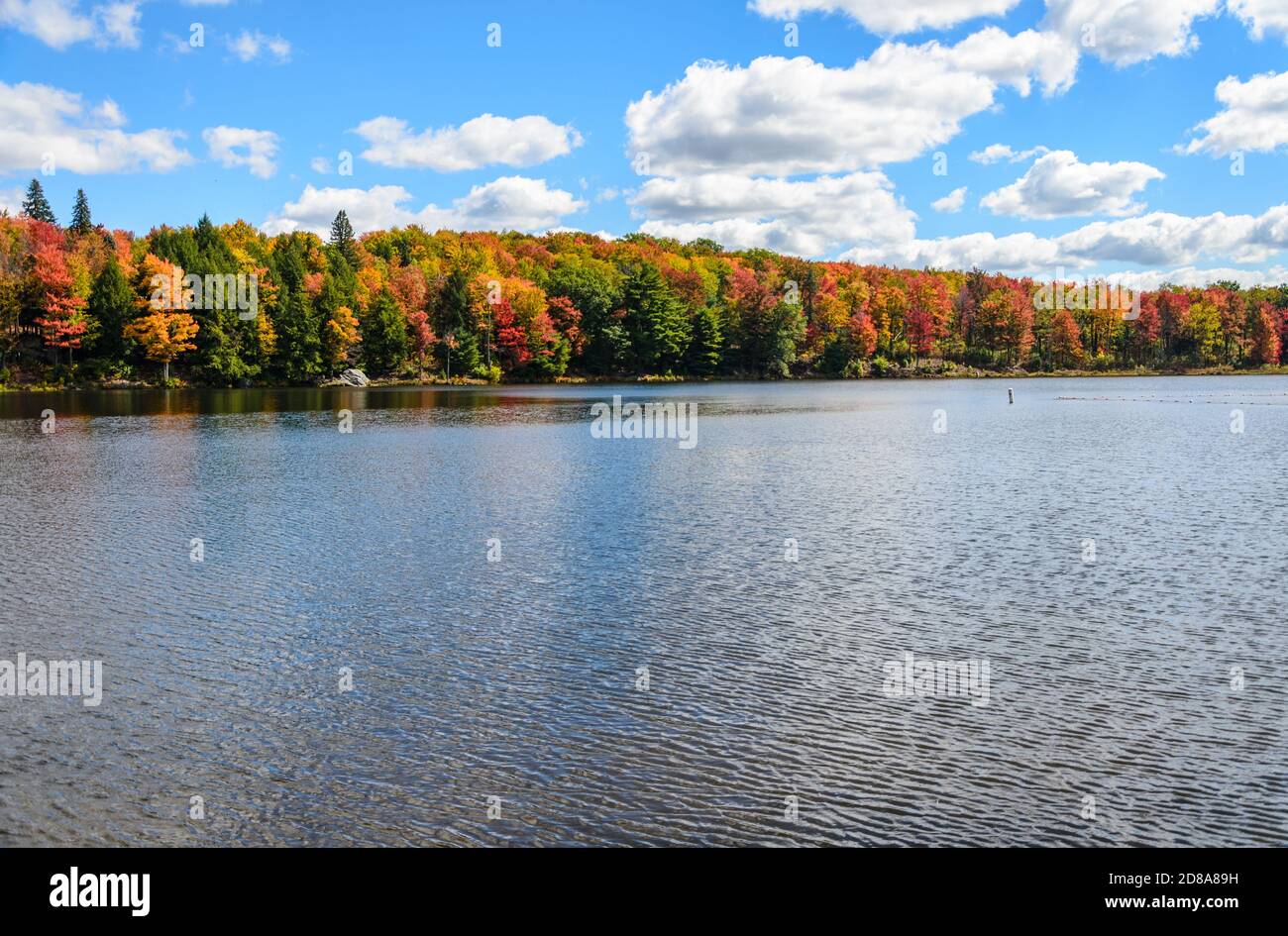 Parker Dam State Park Stock Photo - Alamy