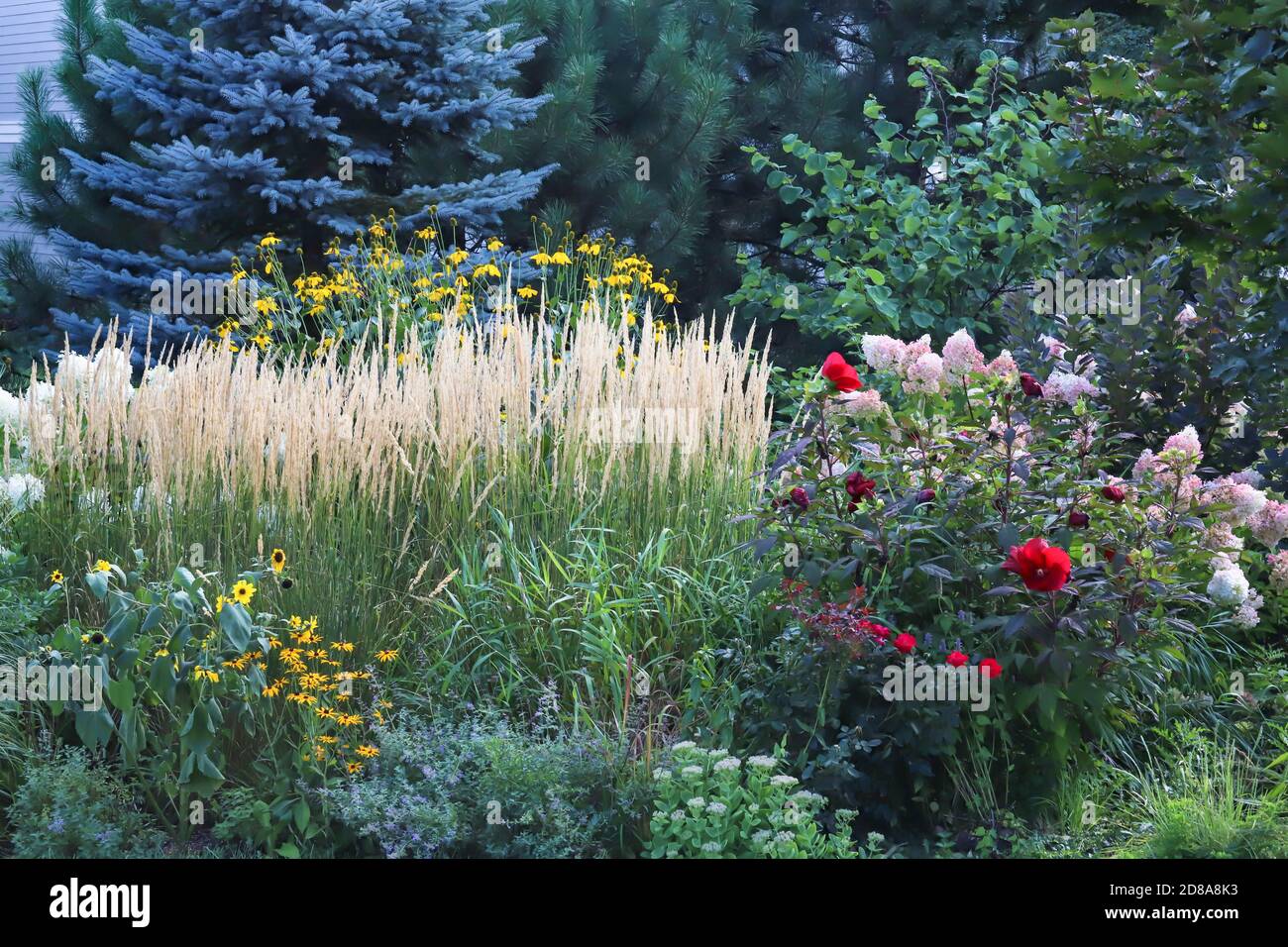 Karl forester hi-res stock photography and images - Alamy