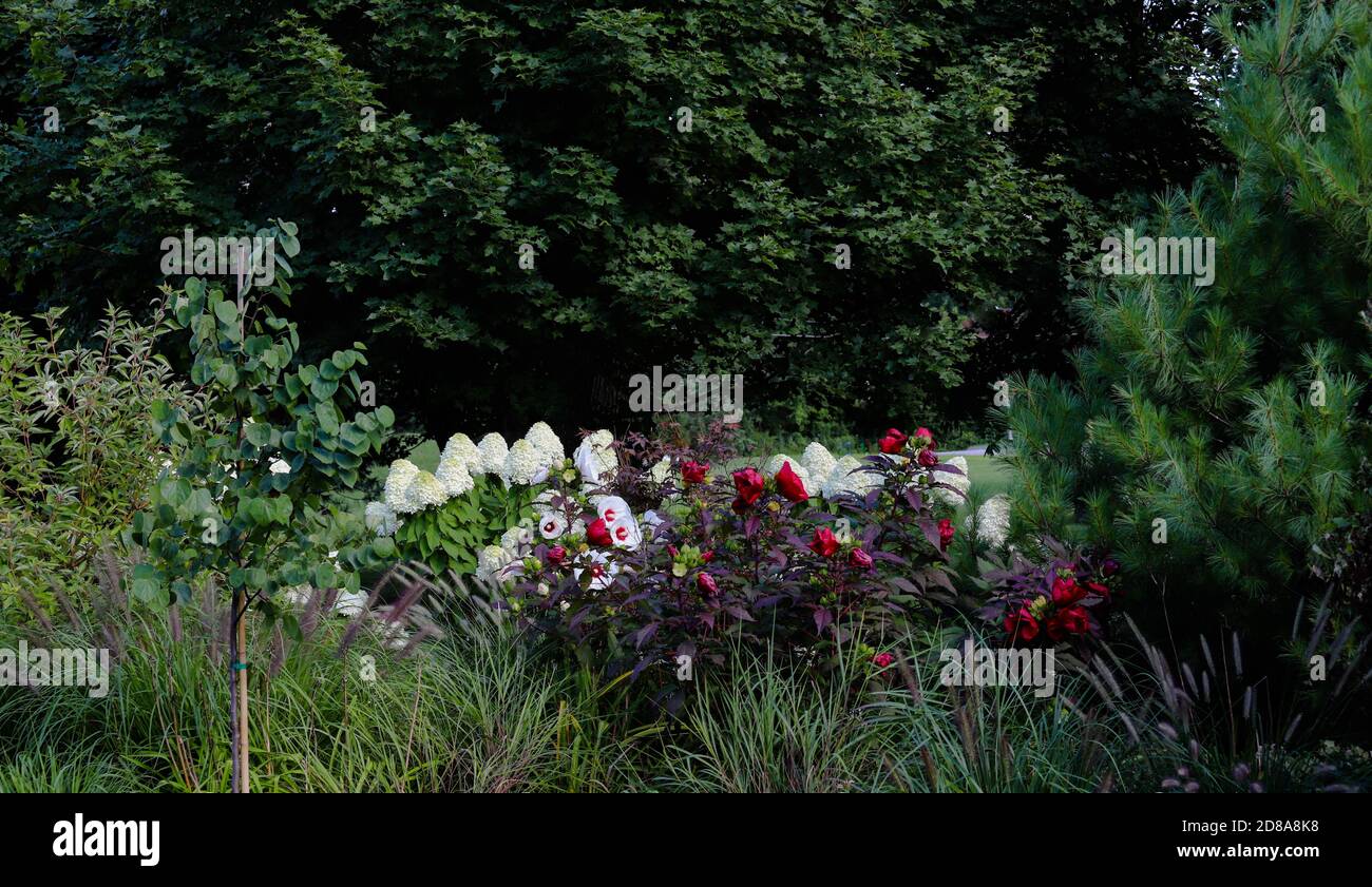 Beautiful landscape of a meditation garden loved by hummingbirds for ...
