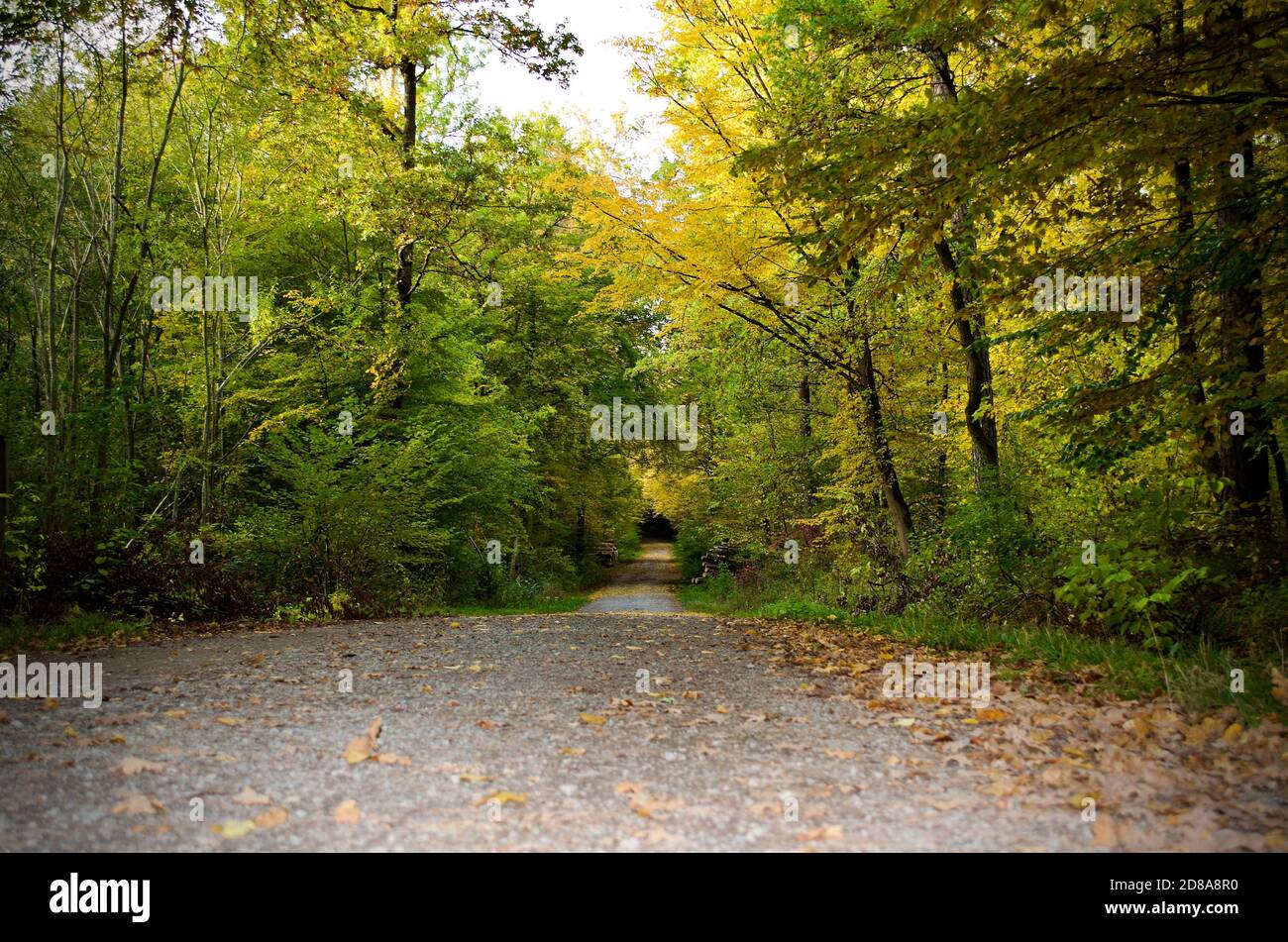 Wide path hi-res stock photography and images - Alamy