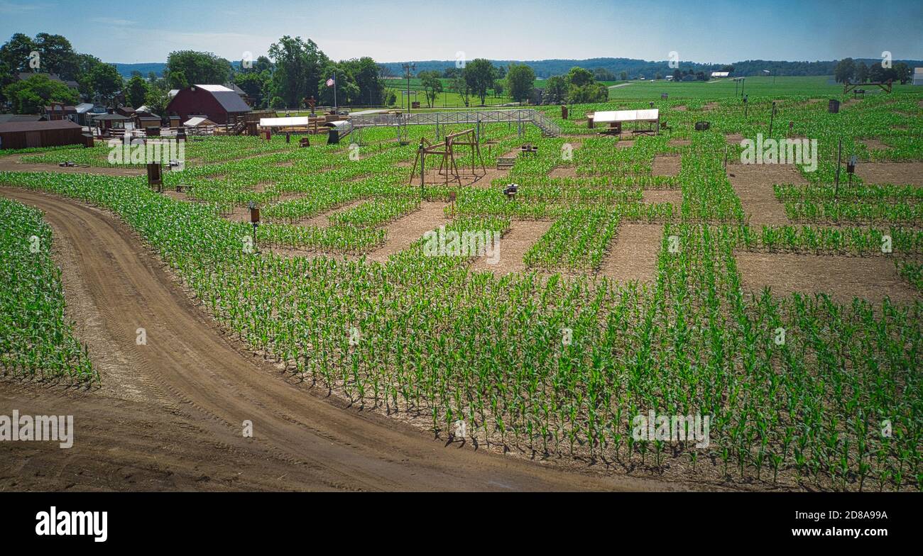 Steam Passenger Train Traveling Thru Countryside from Train Passenger ...