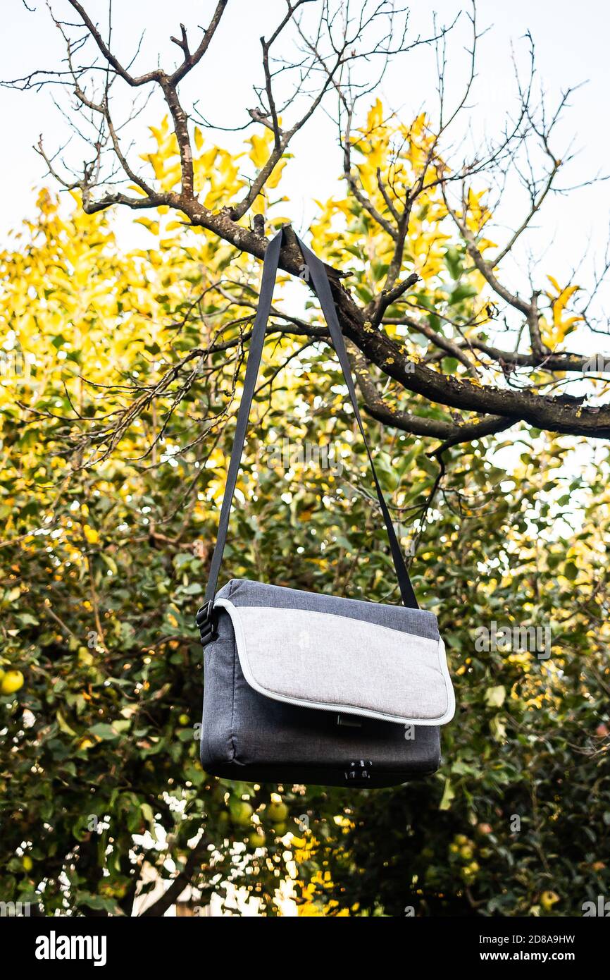 Vertical shot of a bag hanging from a tree branch in the park Stock ...