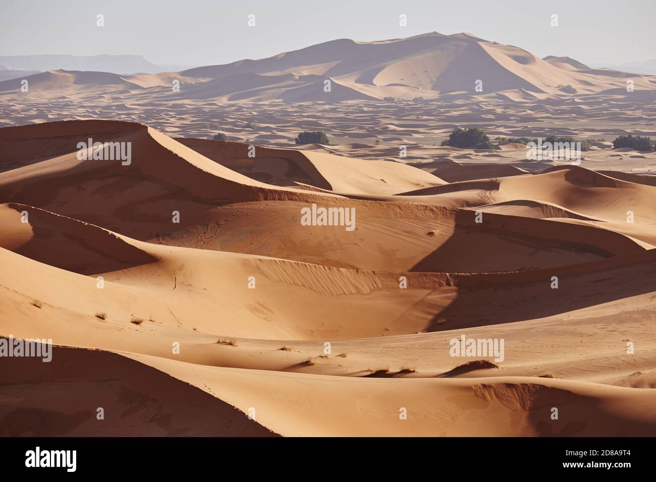 Endless Sands of the Sahara desert. Beautiful sunset over sand dunes of ...