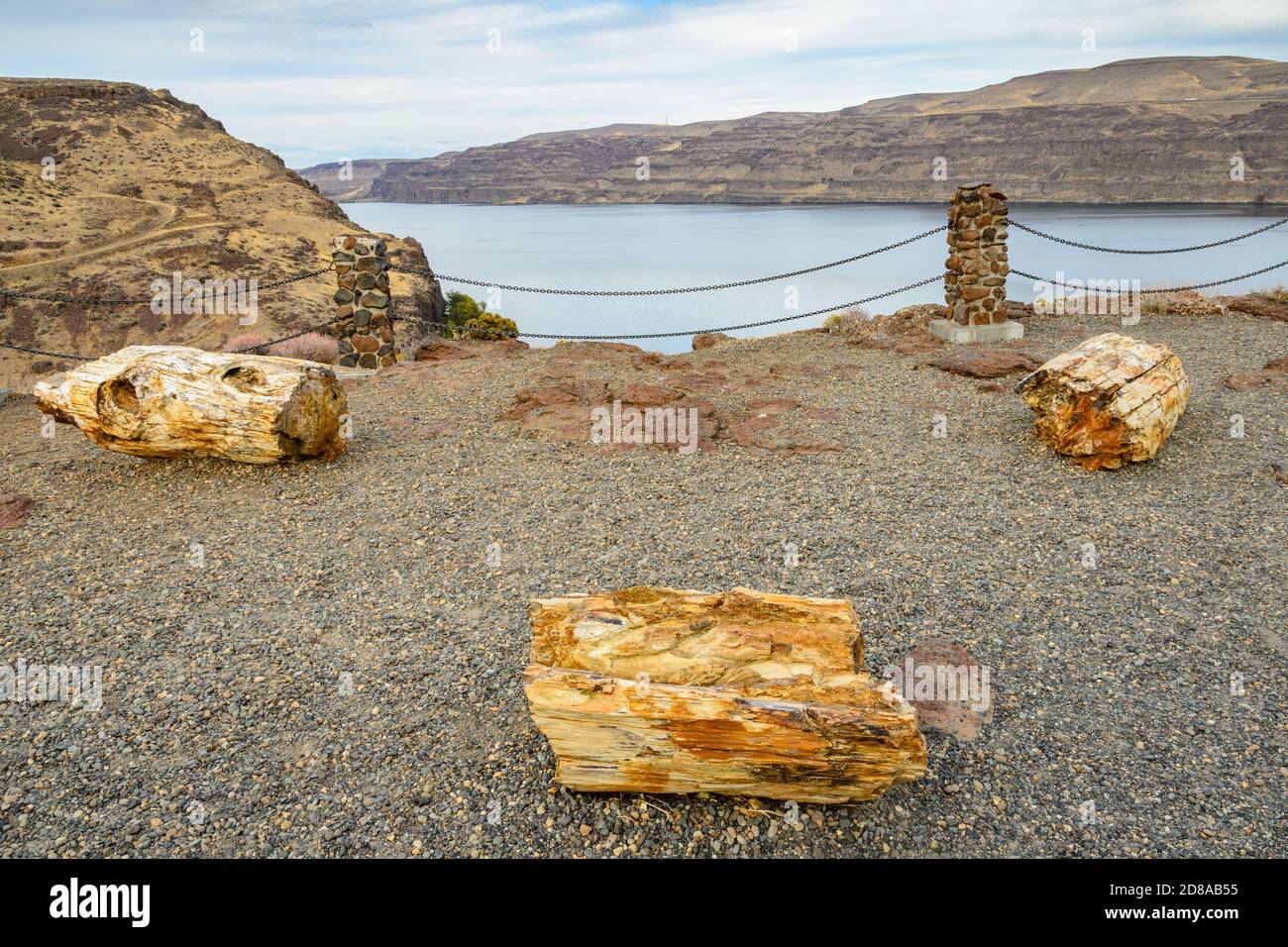 Ginkgo Petrified Forest State Park Stock Photo - Alamy