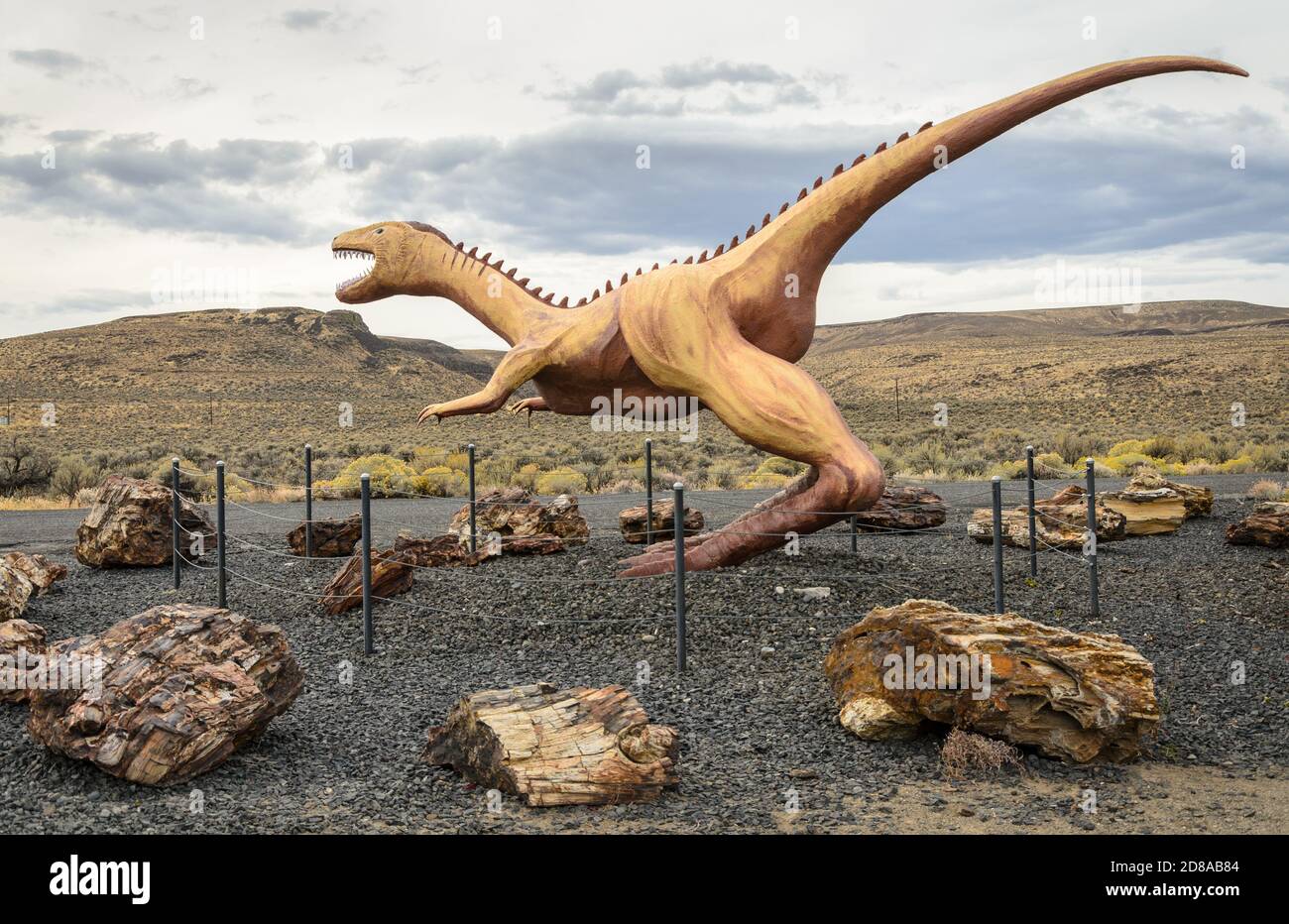 Ginkgo Petrified Forest State Park Stock Photo - Alamy