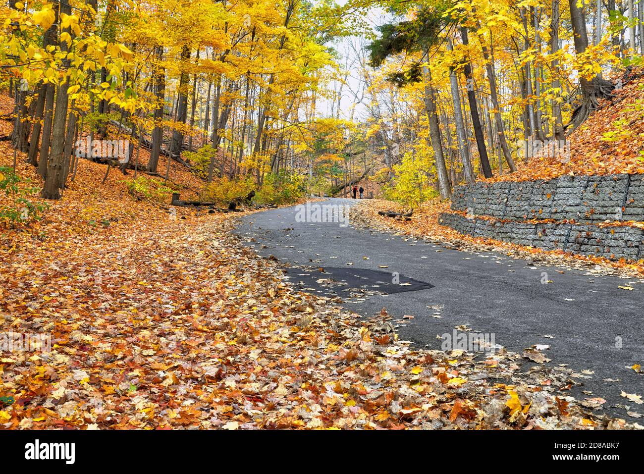 Walking color hi-res stock photography and images - Alamy