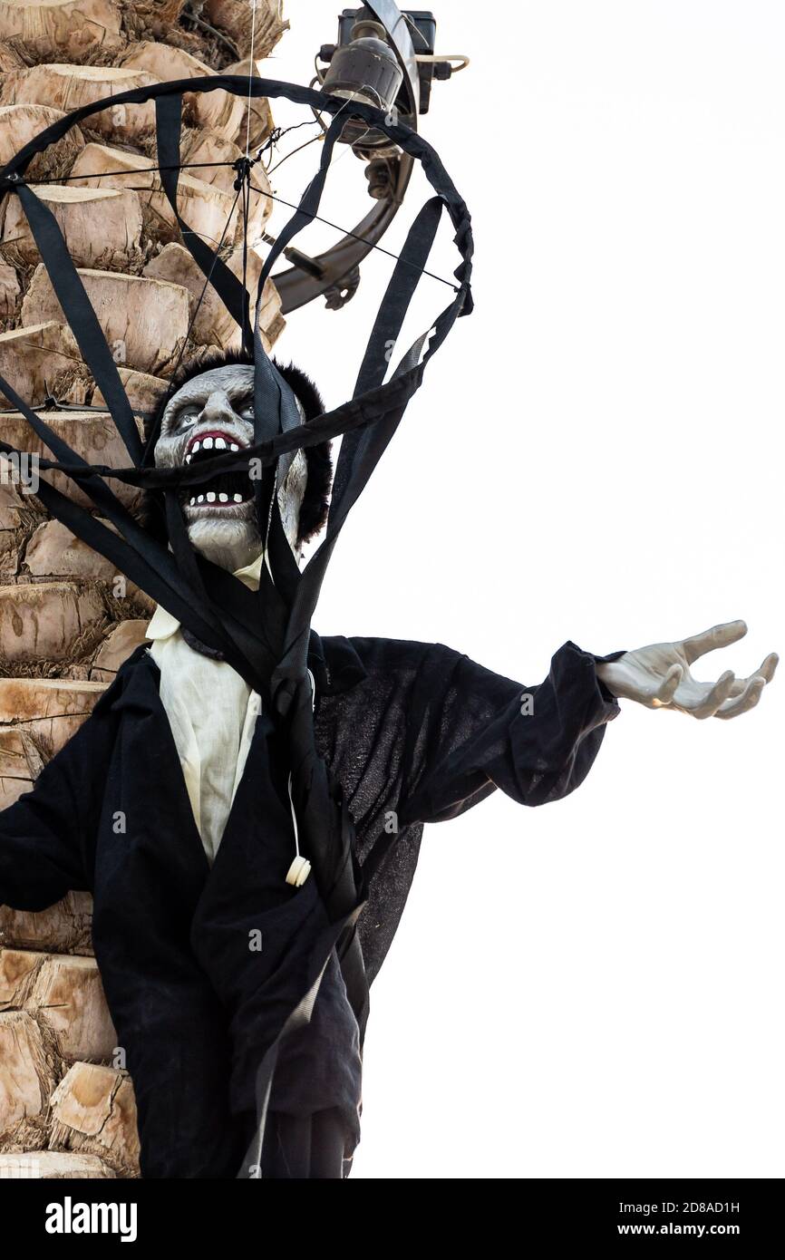 Halloween screaming zombie monster puppet decoration hanging on a palm ...